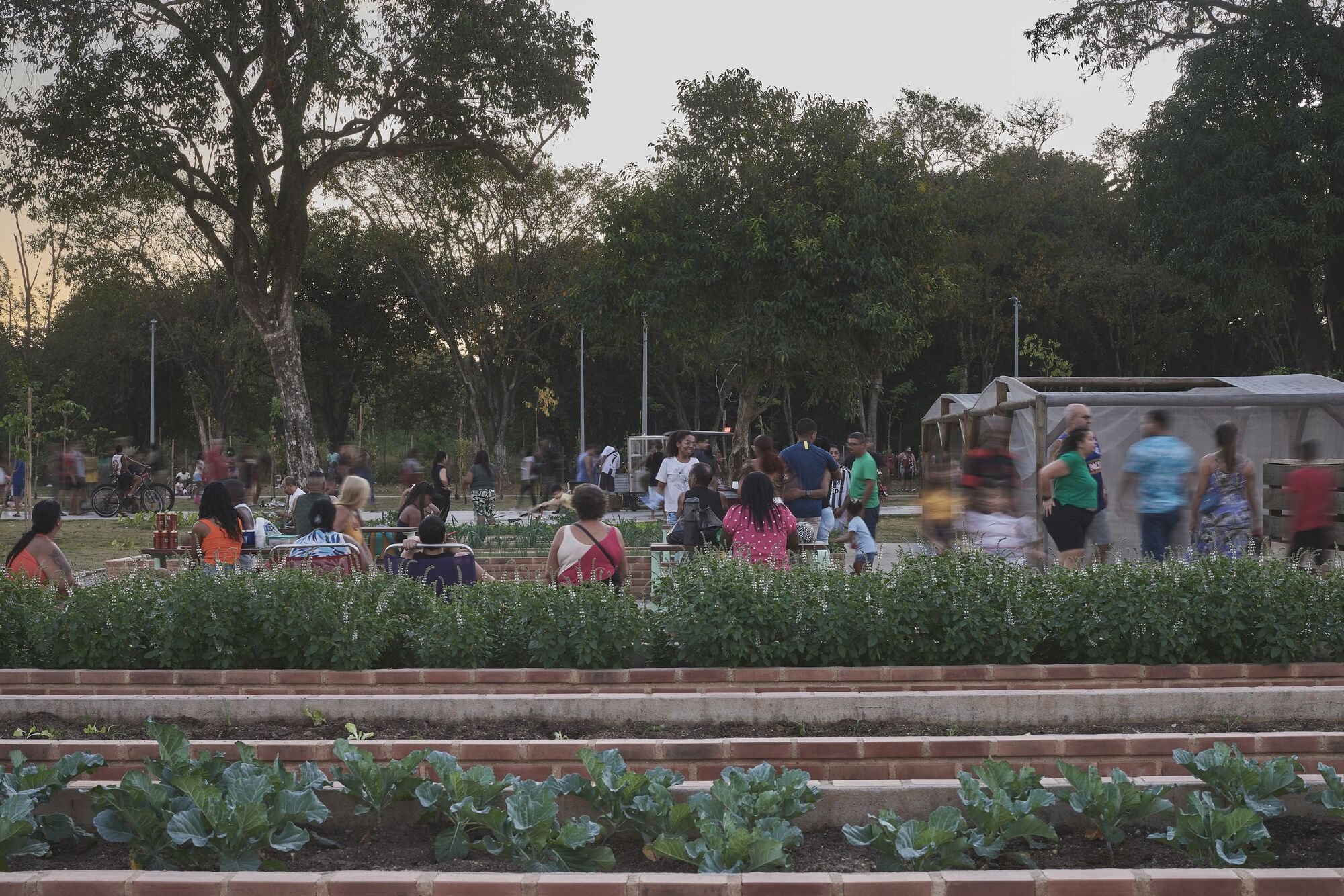 Galeria de Parque Realengo Susana Naspolini / Ecomimesis Soluções ...