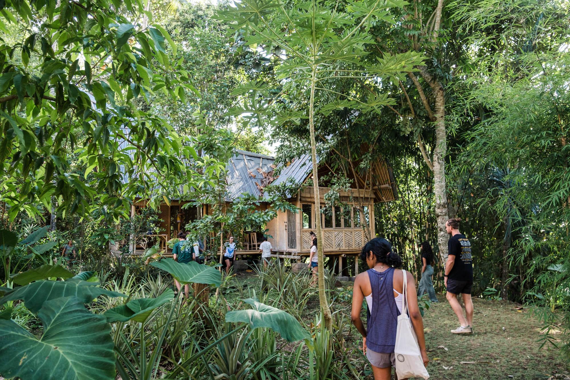 Gallery of The Kul Kul Farm and Bamboo U: Empowering People to Build a ...