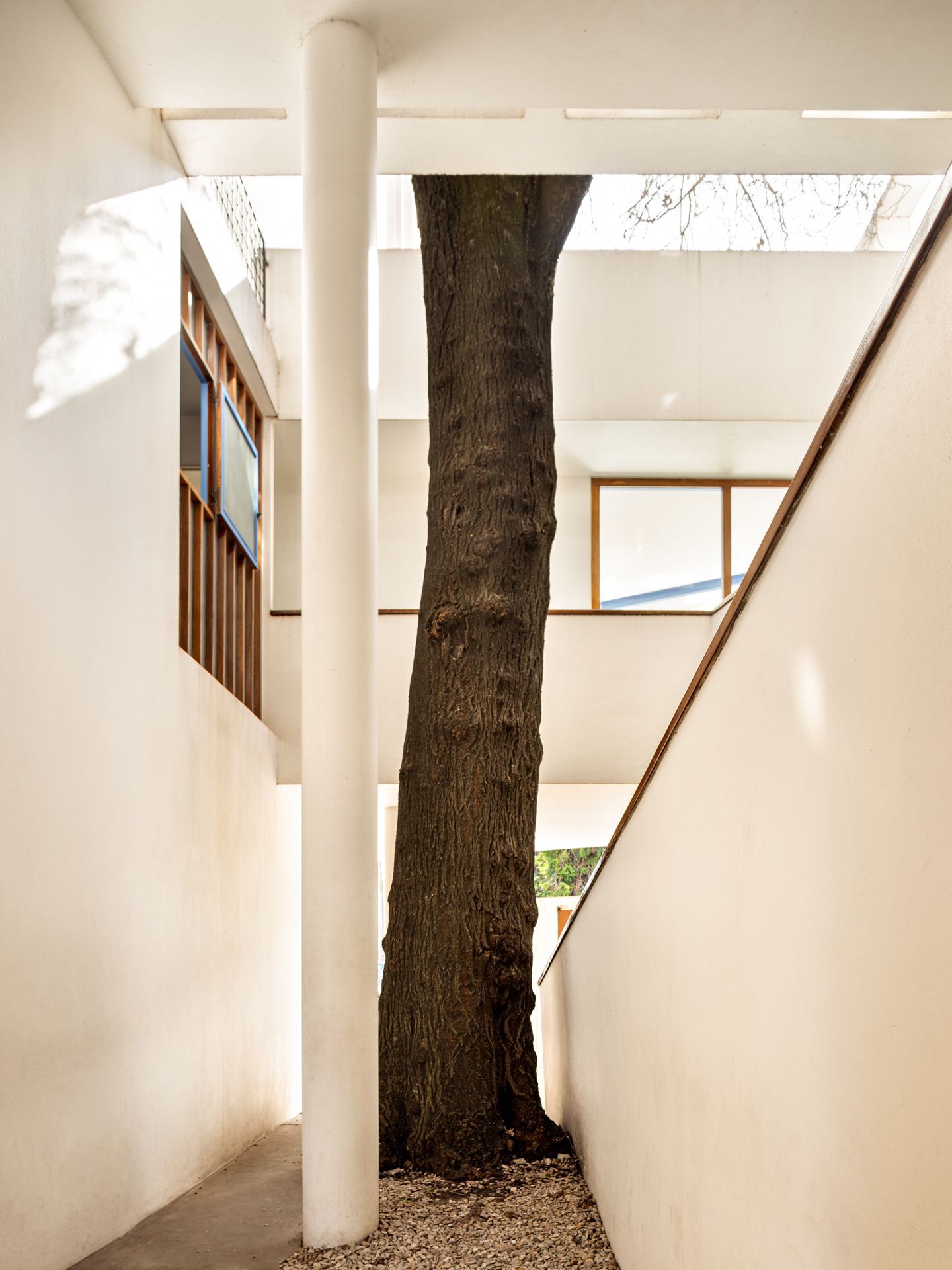 Galería de Clásicos de Arquitectura: Casa Curutchet / Le Corbusier - 13
