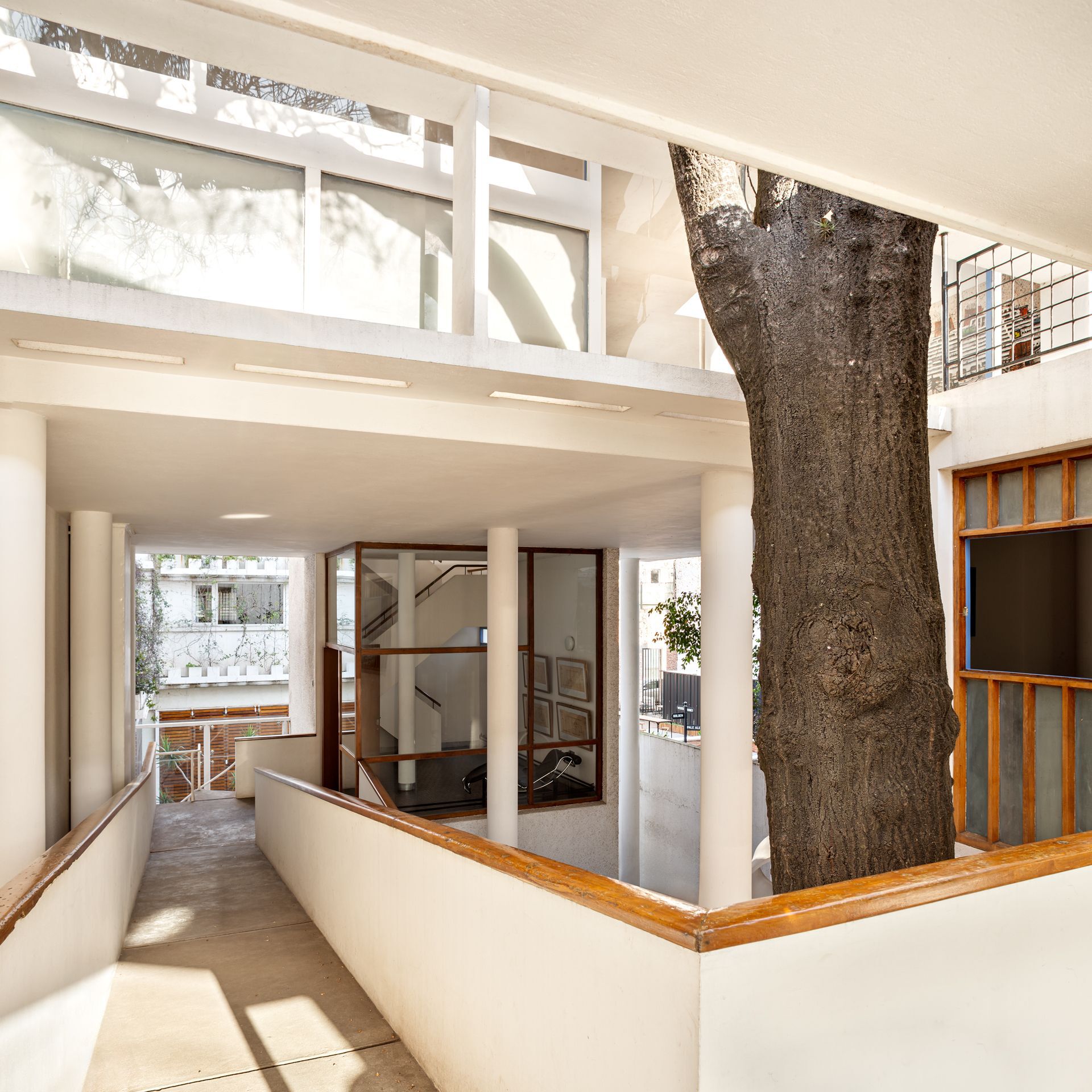 Galería de Clásicos de Arquitectura: Casa Curutchet / Le Corbusier - 4