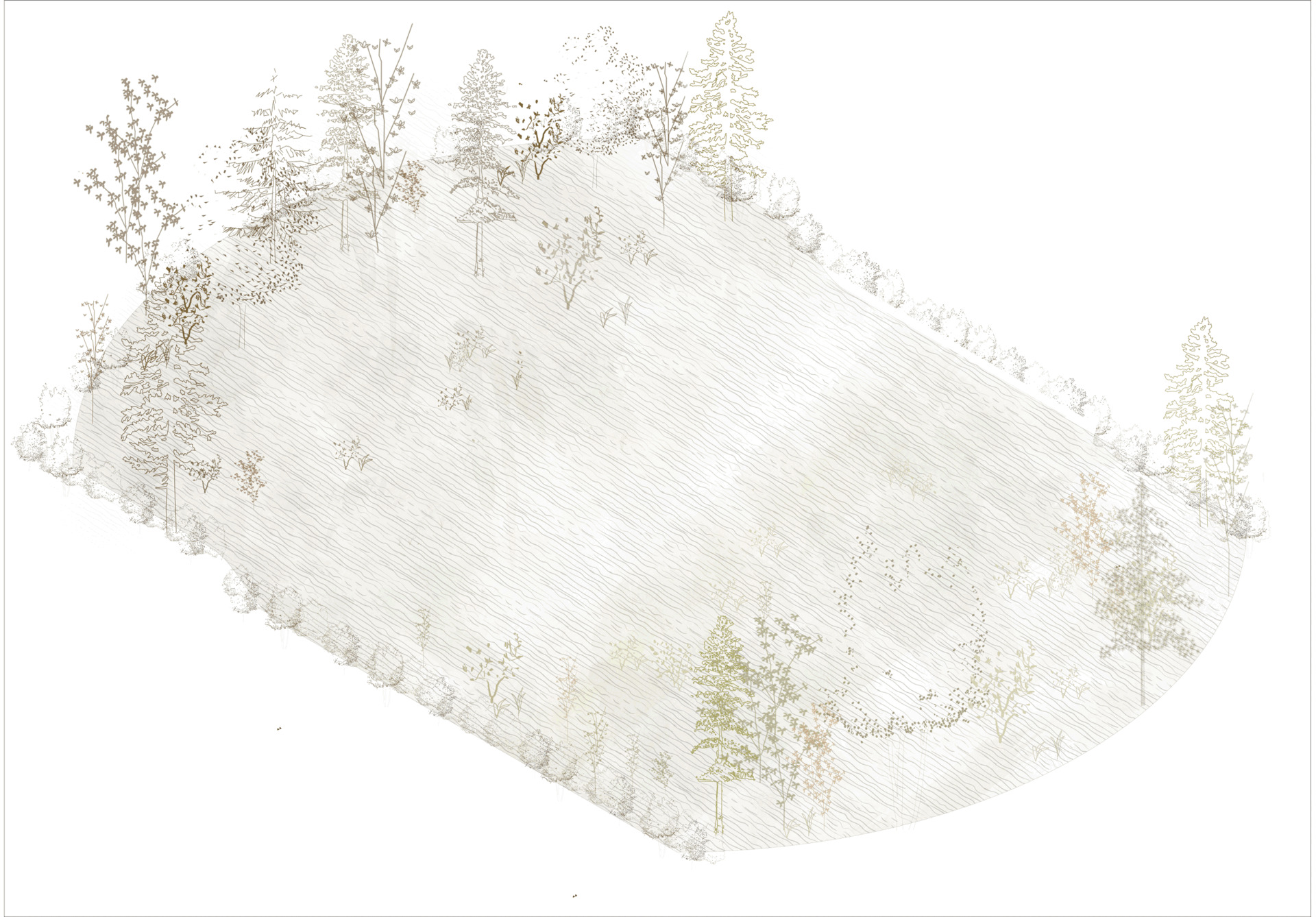 Gallery of Forest House / Gonzalo Bardach arquitectura - 32