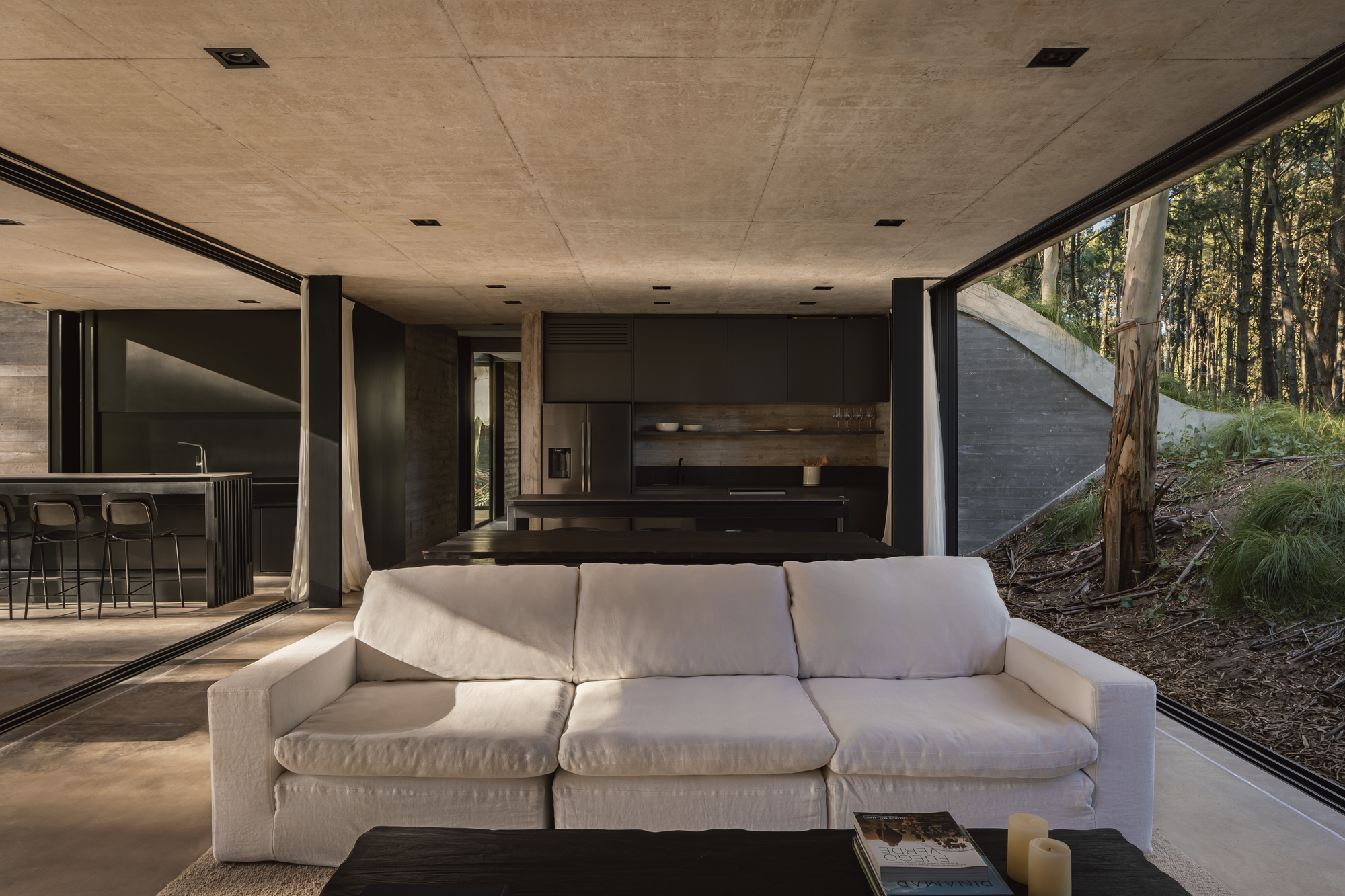 Gallery of Forest House / Gonzalo Bardach arquitectura - 15