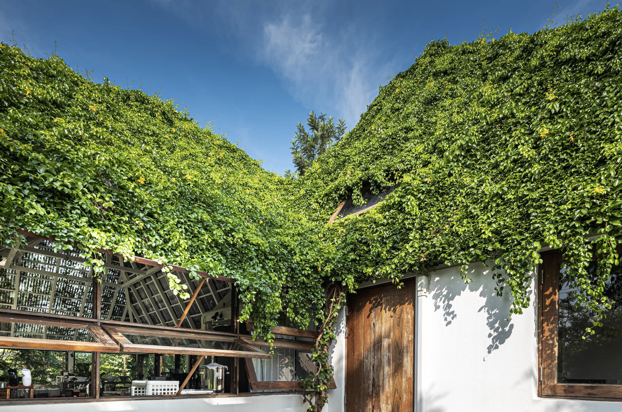Gallery of Bonsai House / Studio Miti - 10