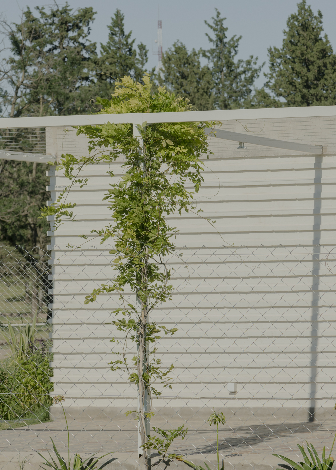 Galería de Casa La Florida / Lezaeta Lavanchy - Benjamín Lezaeta, María ...