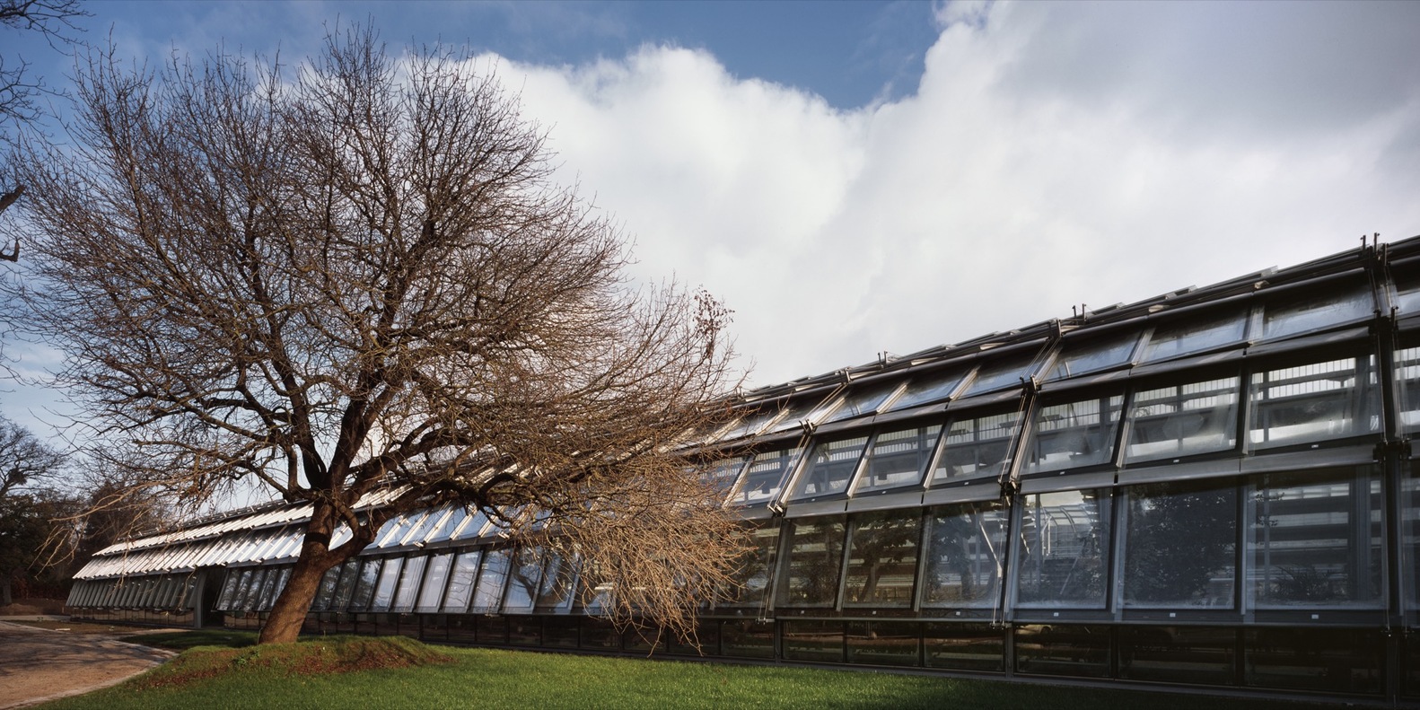 Gallery of Architecture Beyond Humanity: Designing for Non-Human Species - 25