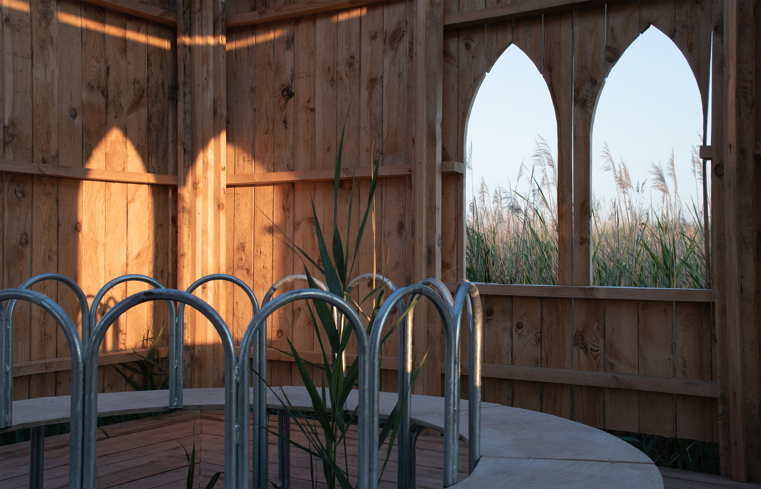 Gallery of Architecture Beyond Humanity: Designing for Non-Human ...