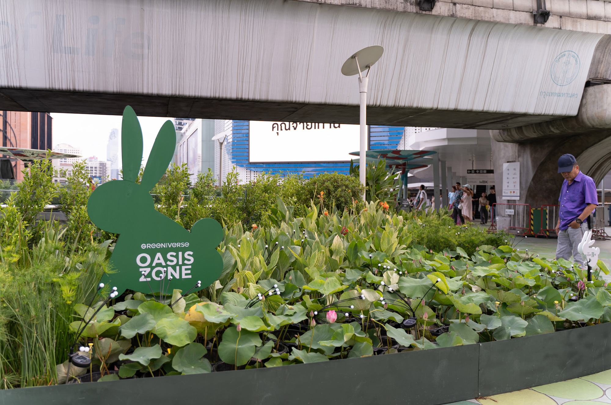 Gallery of Hop Park, Green Pop-up Hop into the Greeniverse / Shma ...