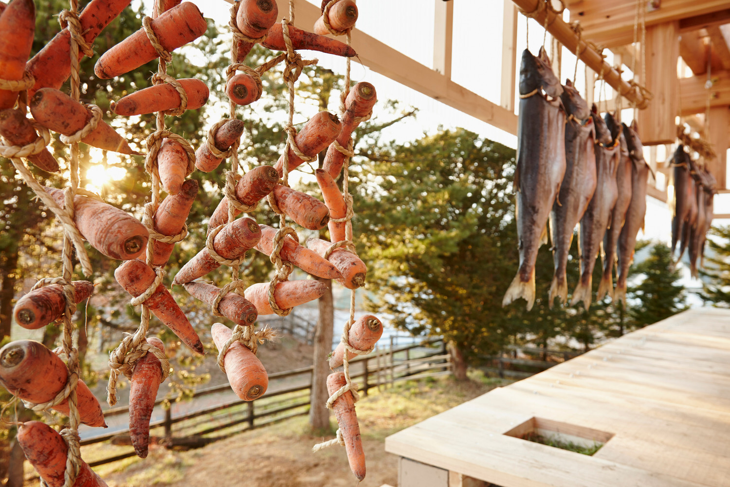 Gallery of Architecture Beyond Humanity: Designing for Non-Human ...