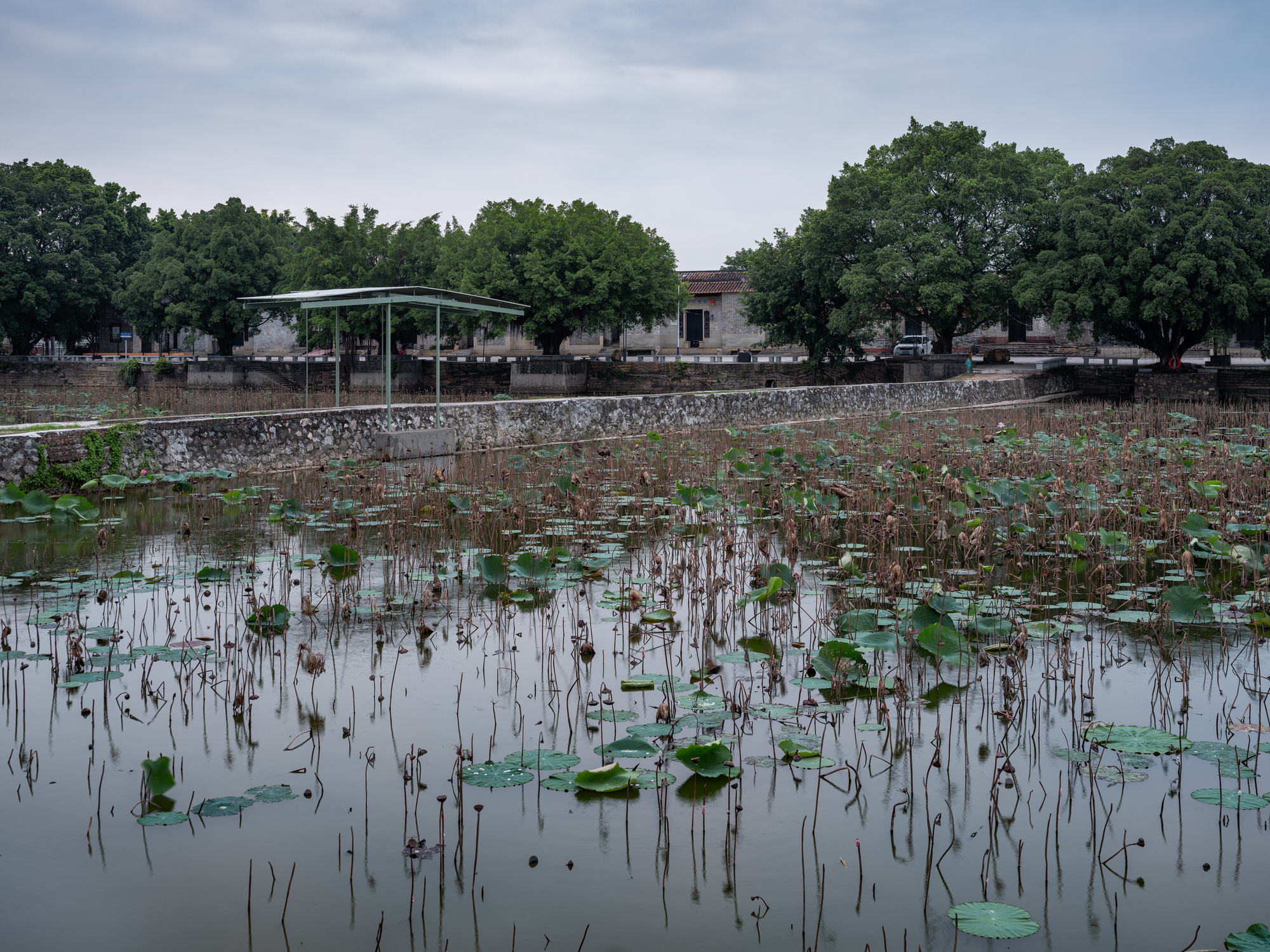 Gallery of La Patella / Atelier Guo - 11