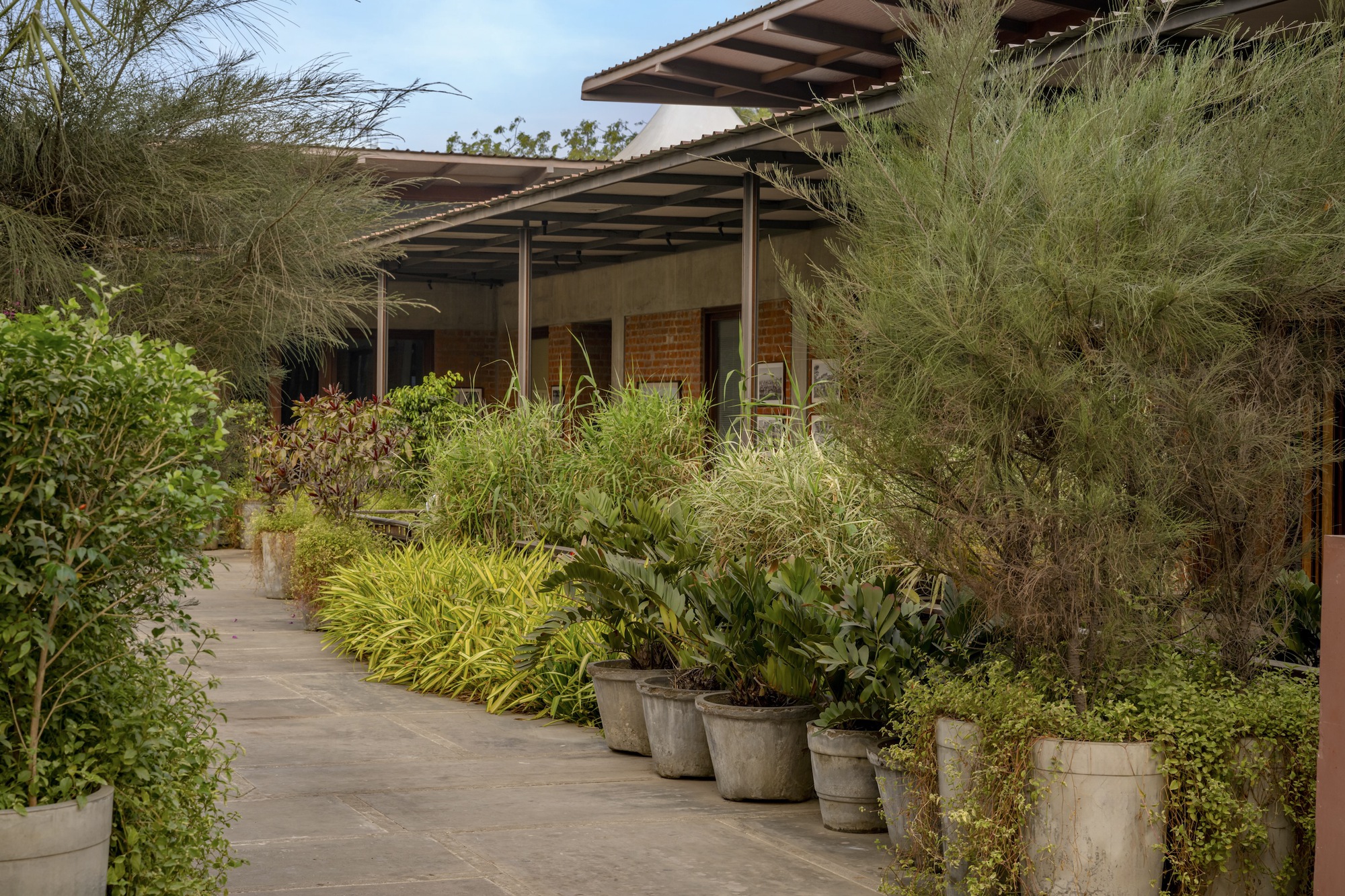 Gallery of Under The Neem Tree Restaurant / Hiren Patel Architects - 7