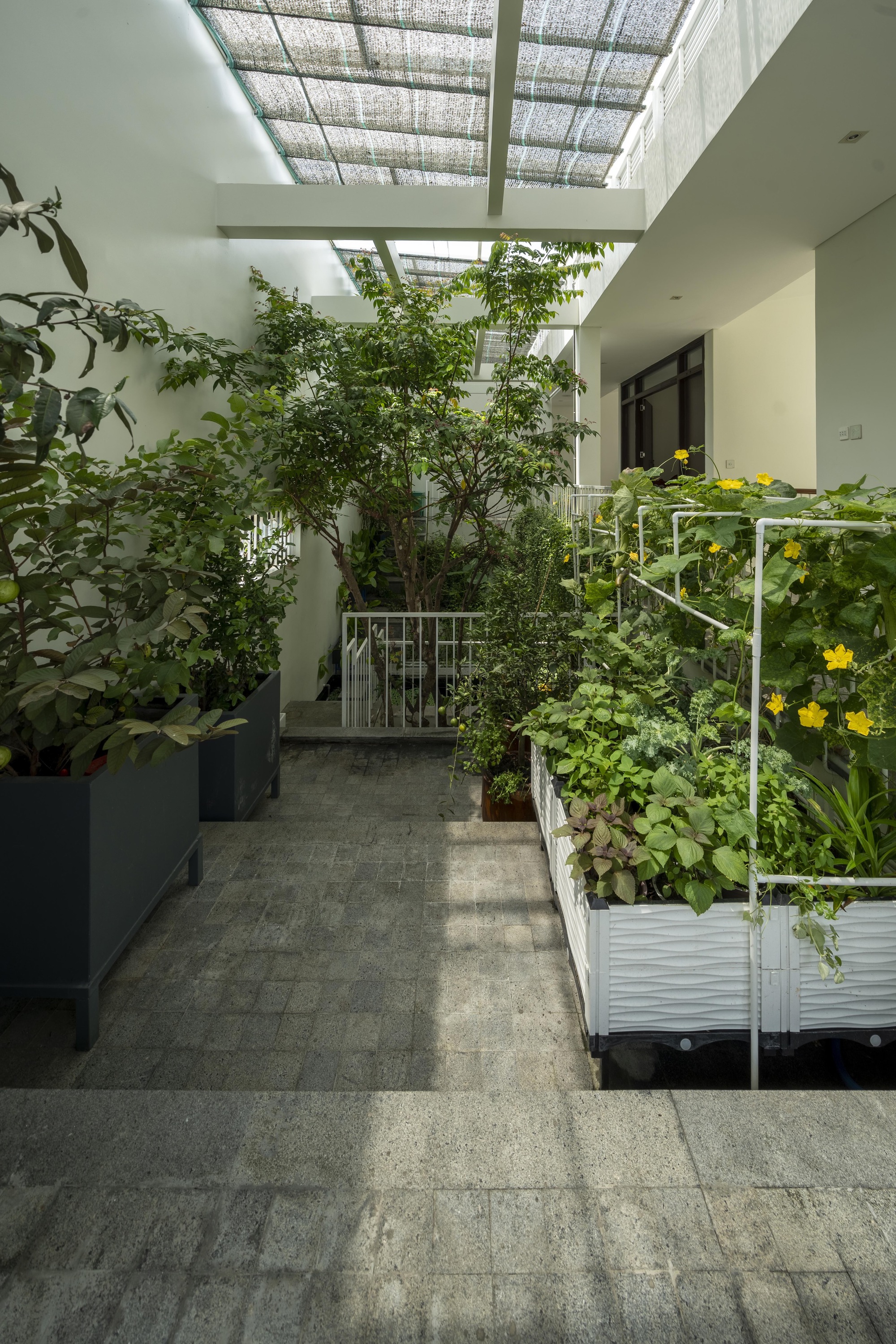 Gallery of Urban Farming Home / Farming Architects - 25