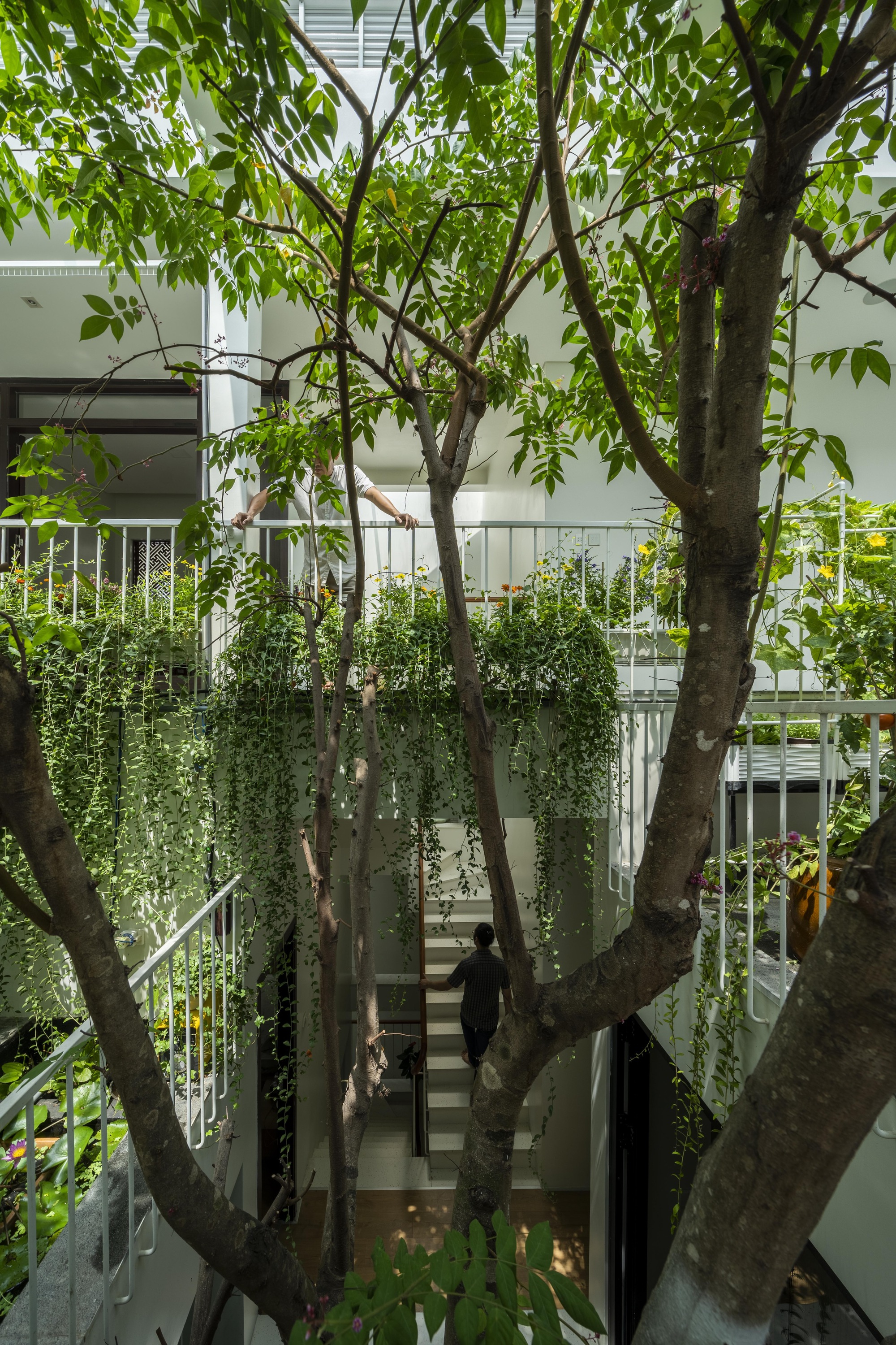 Gallery of Urban Farming Home / Farming Architects - 20