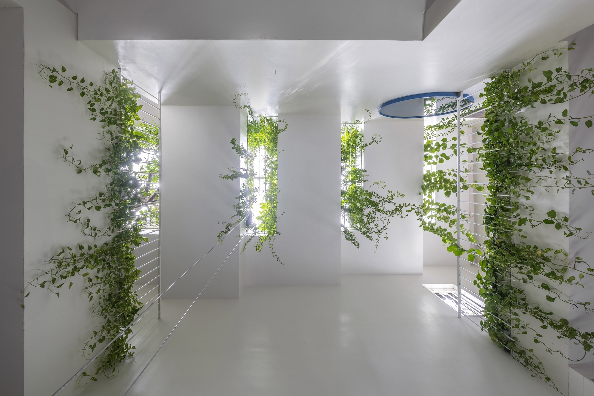 Gallery of Urban Farming Home / Farming Architects - 14