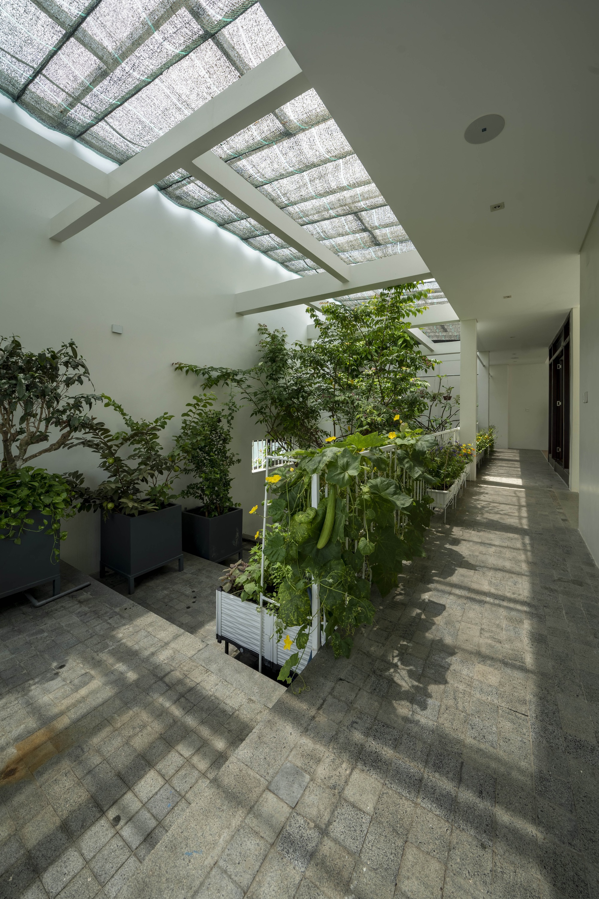Gallery of Urban Farming Home / Farming Architects - 24