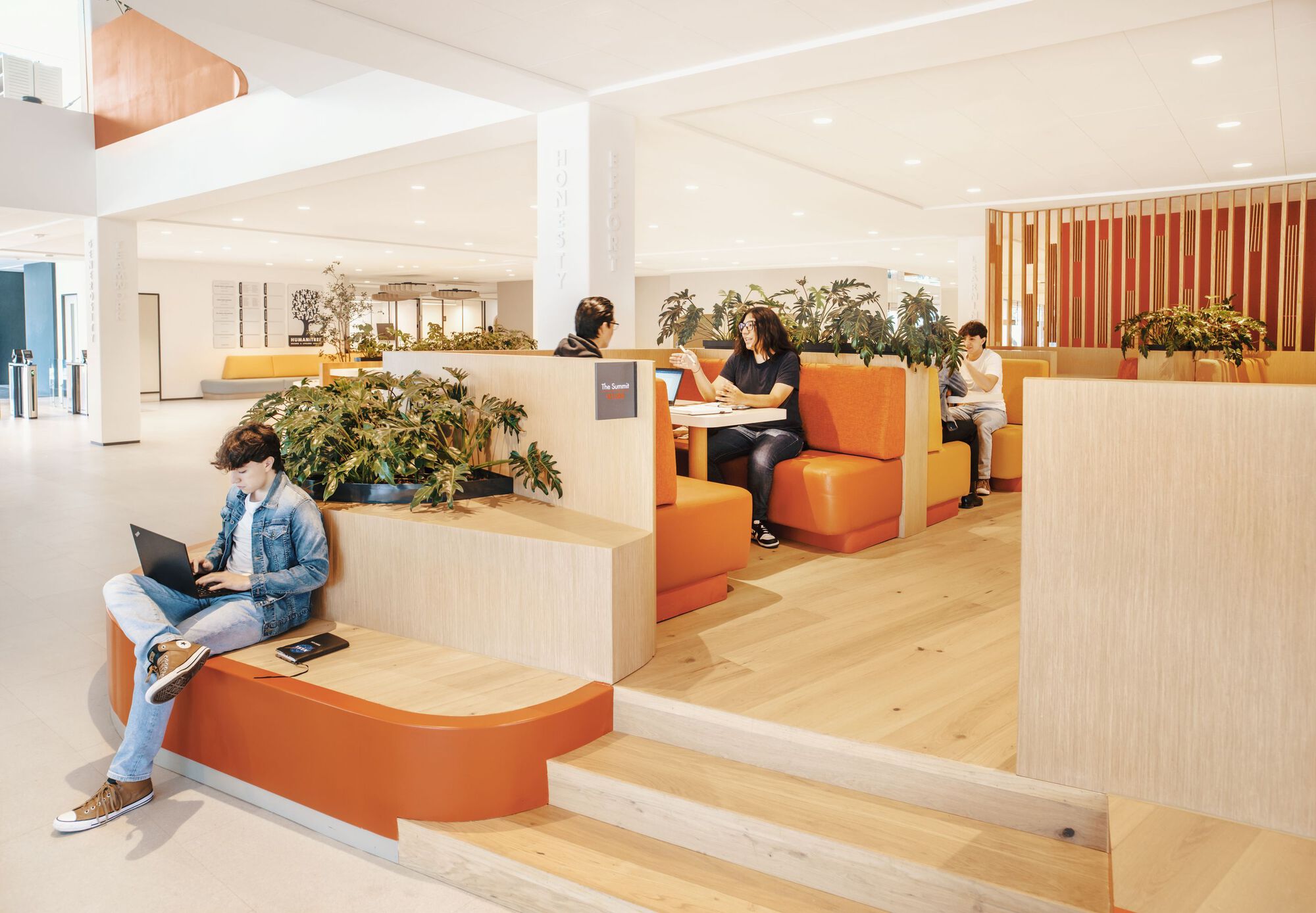 Gallery of Humanitree School Hive and Flight / Rosan Bosch Studio - 5