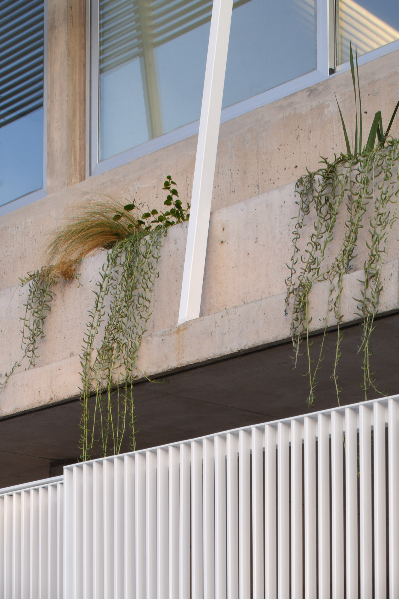 Gallery of Paysandú Residences / bakro-mayorano - 9