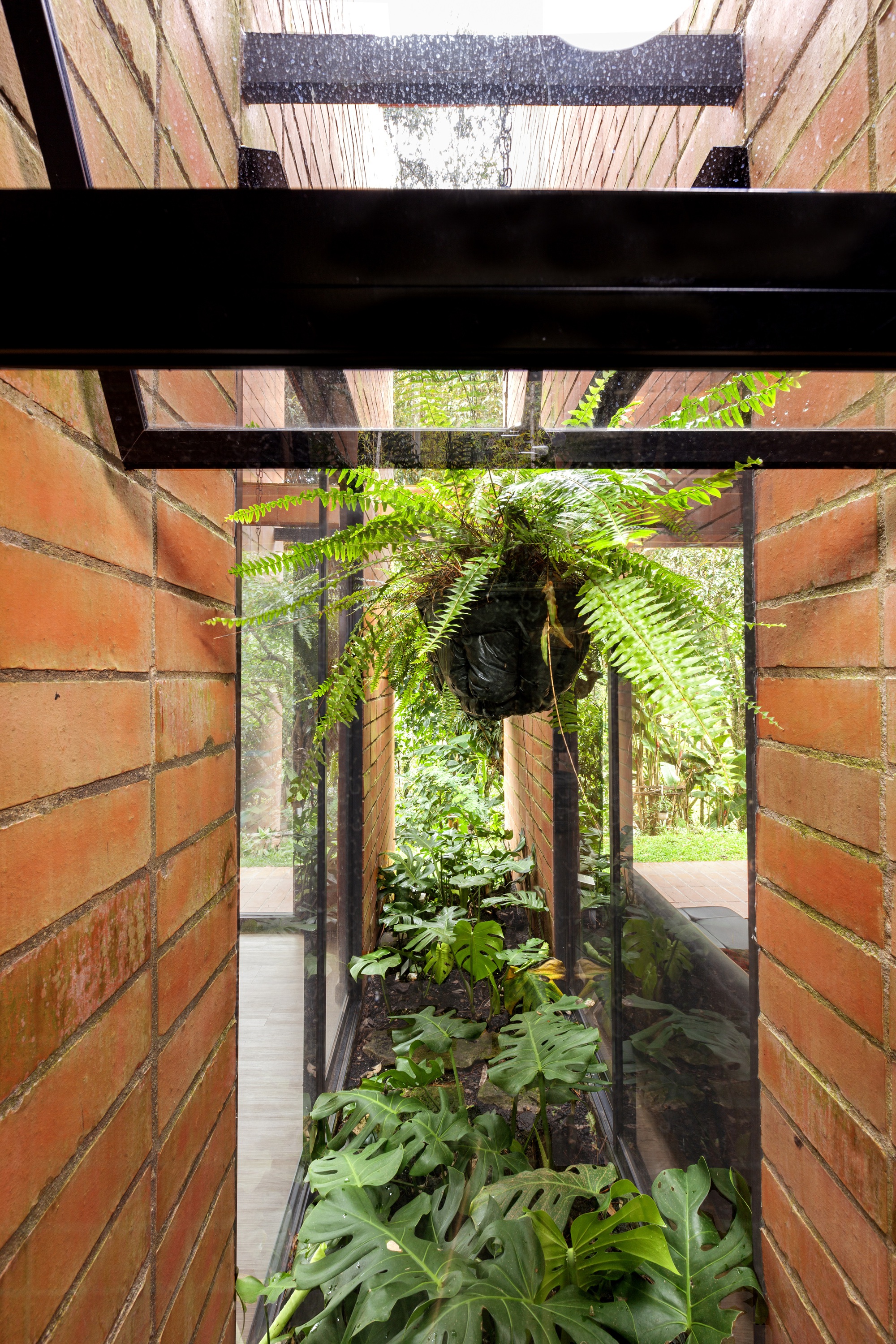 Galeria de Casa Guane / Estudio APLG - 13