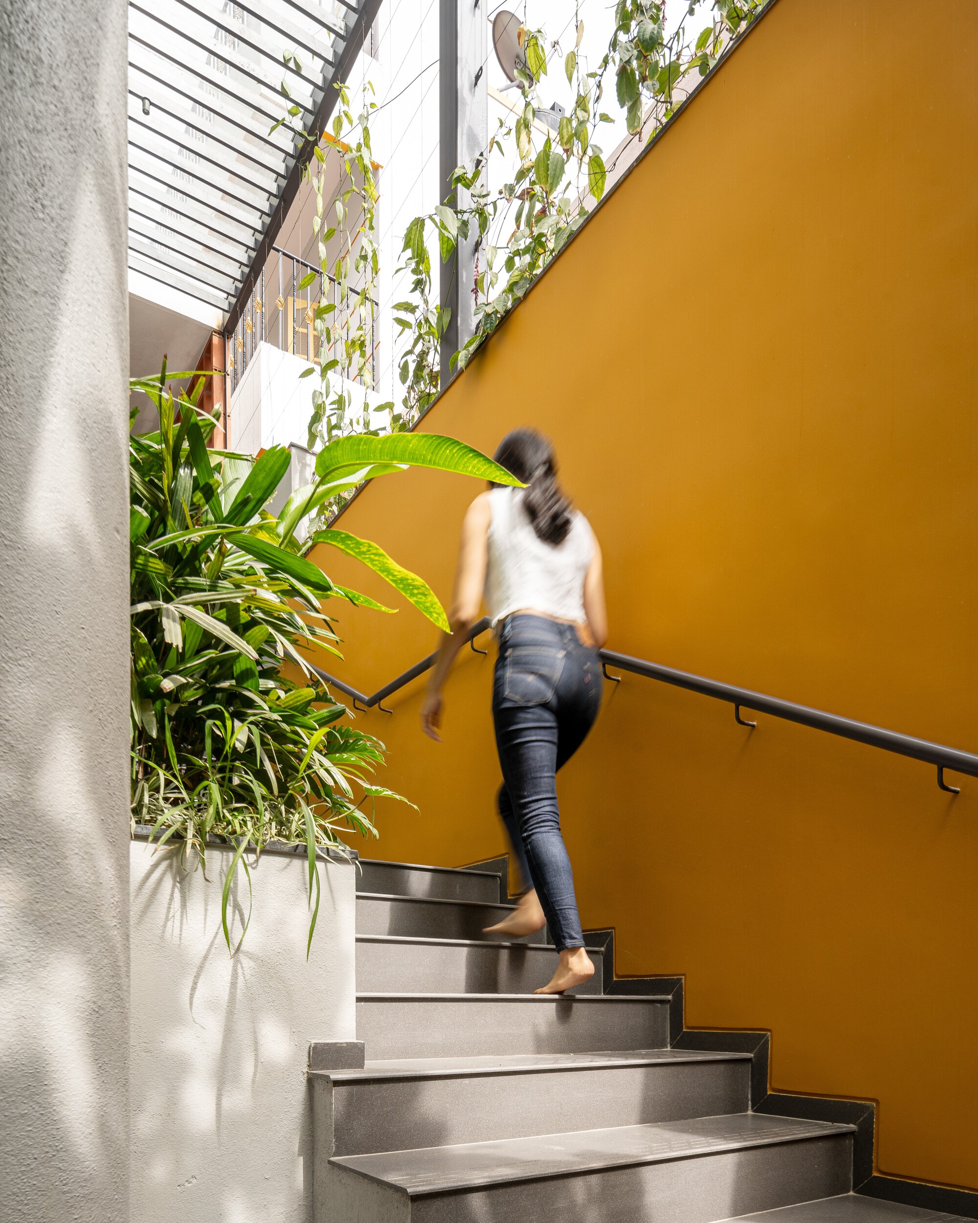 Galeria de Casa Ridge / Enviarch Studio - 11