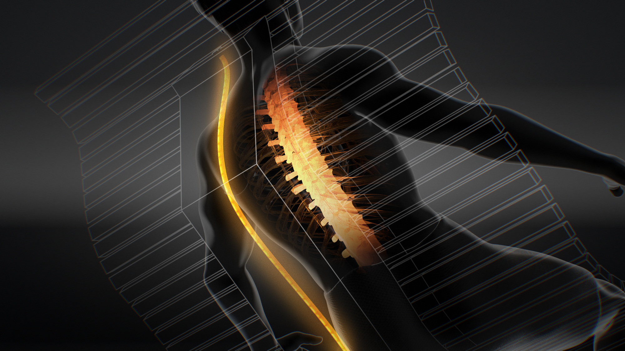 Gallery of Curves of Comfort: Ergonomic Infrared Sauna Lounges ...