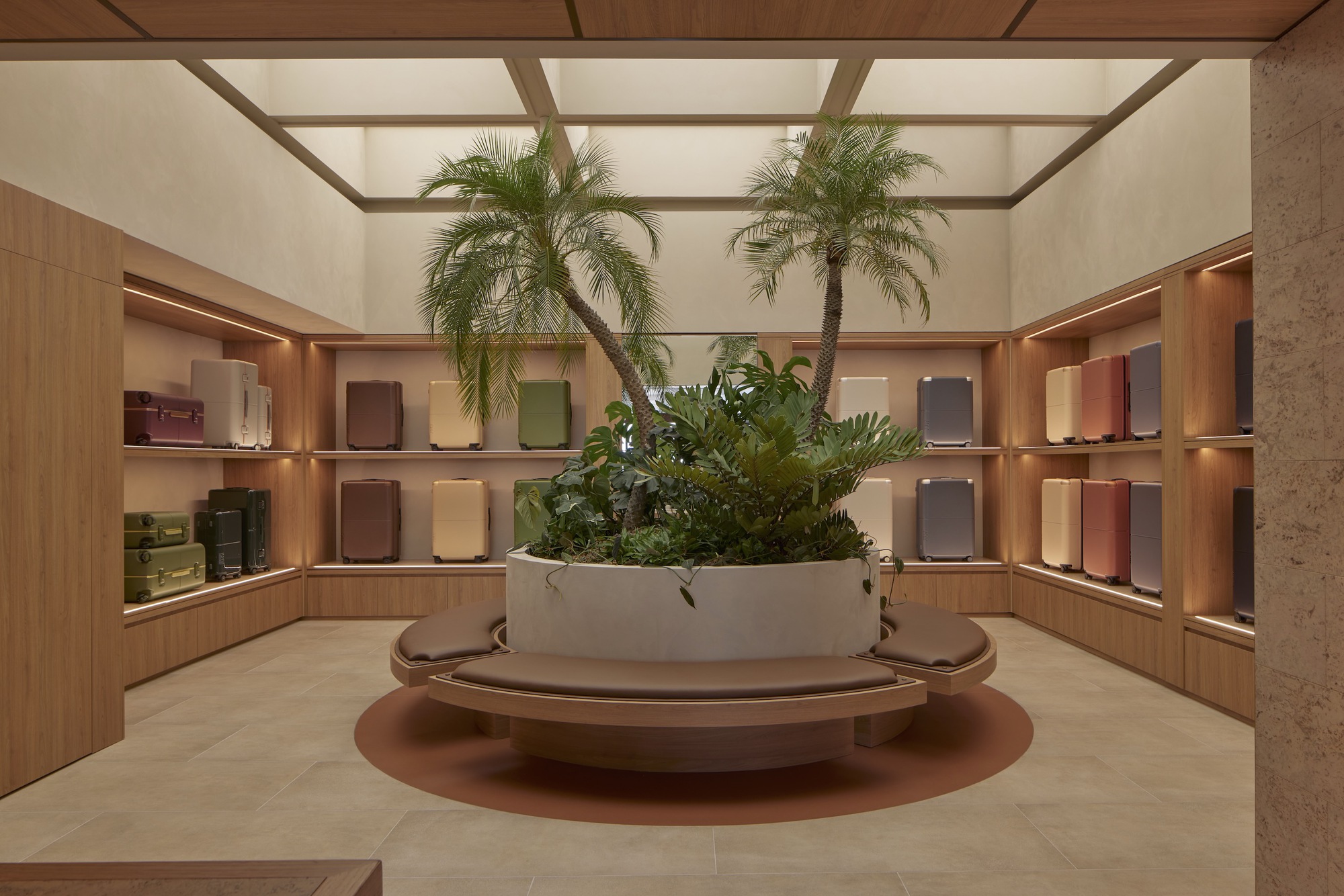 Gallery of July James Street Store / In Addition - 6