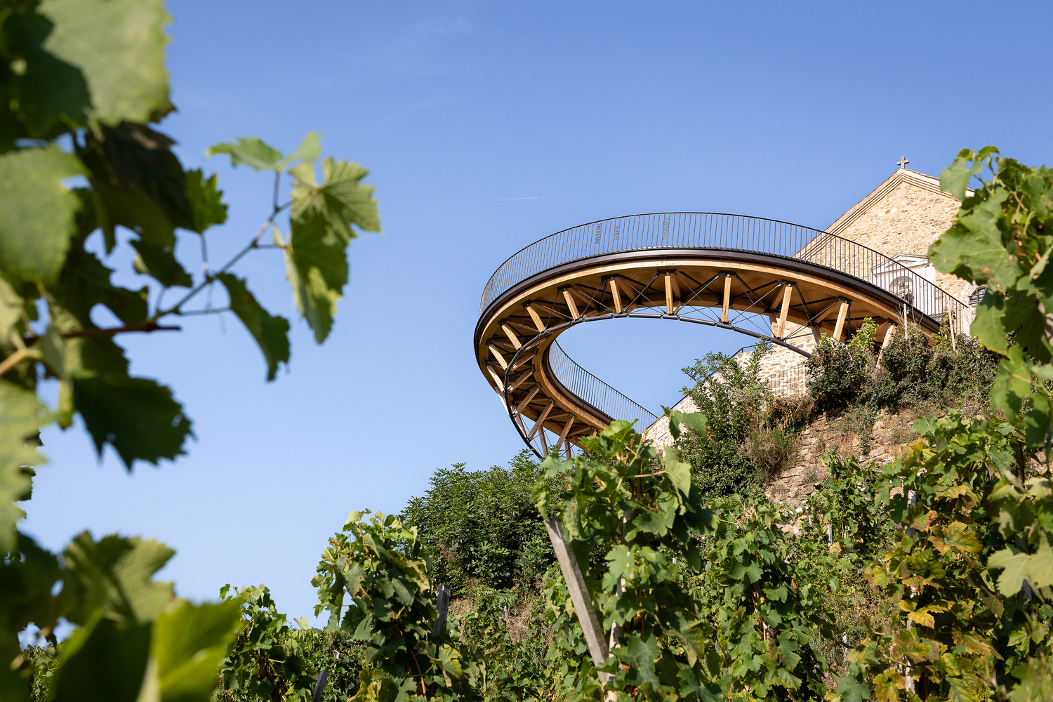 Galeria de Mirante das Vinícolas de Condrieu / Collection Architectes - 10