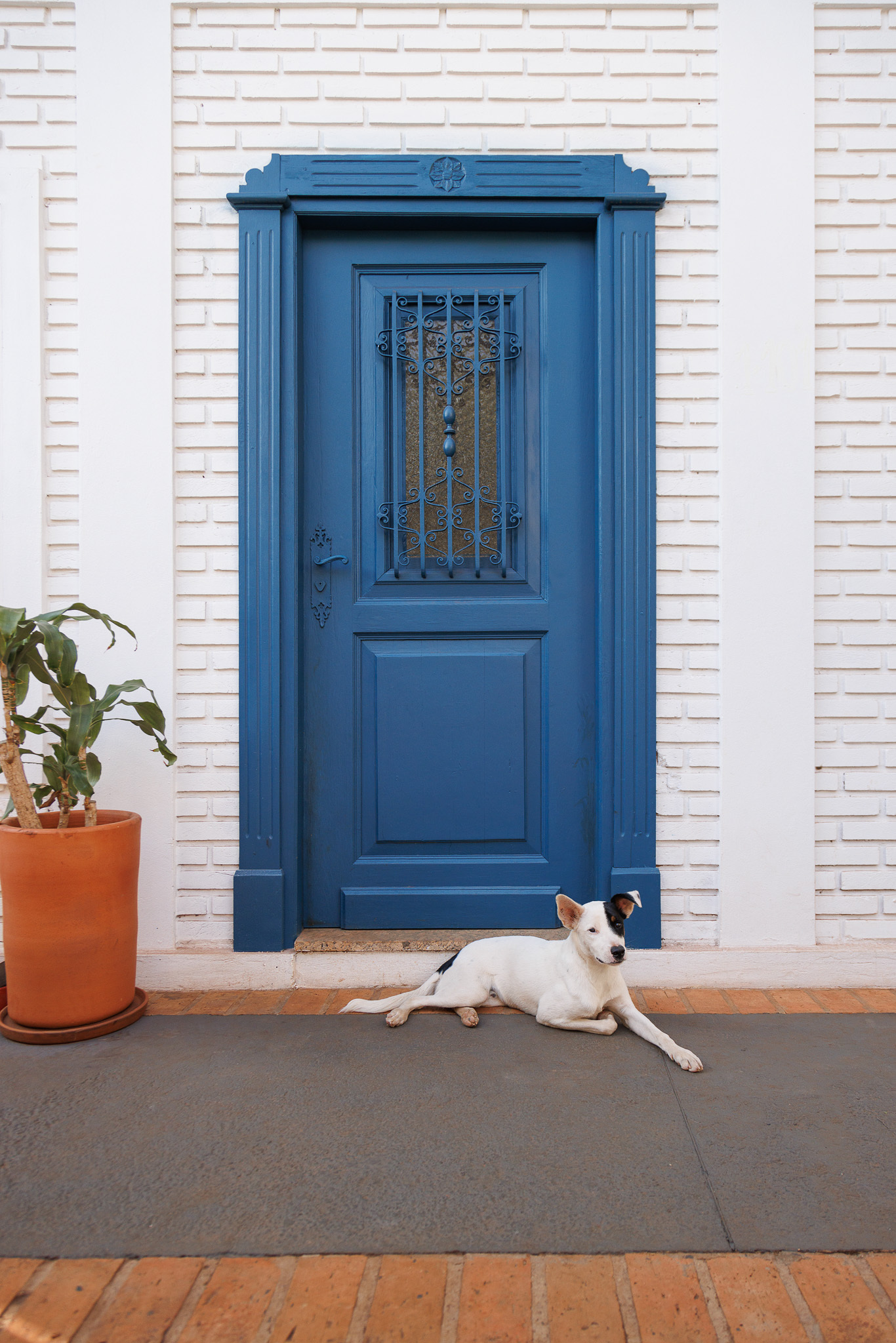 Galería de Casa Porta Azul / Rafael Pinoti Arquitetura - 9