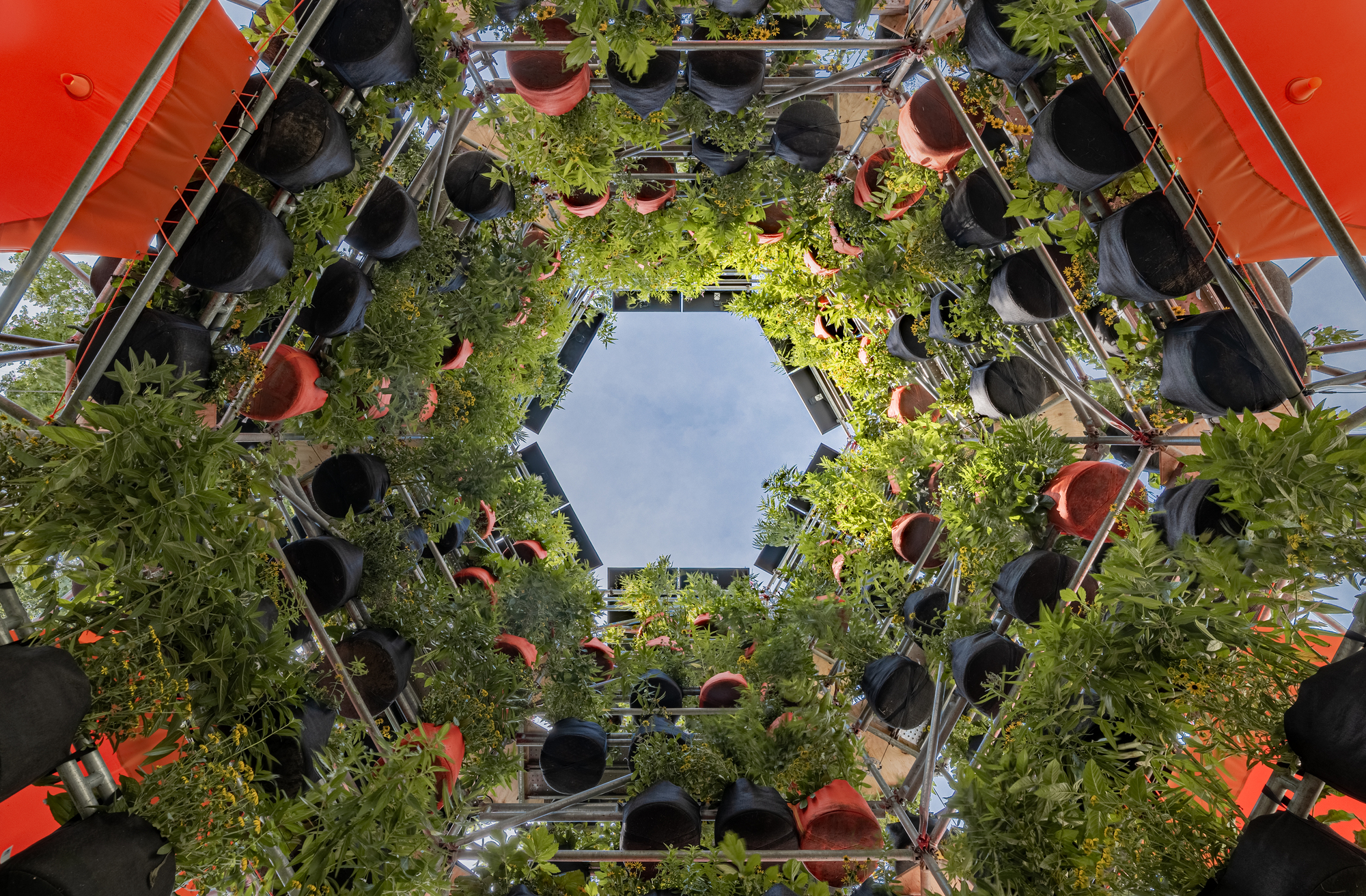 Harvard GSD Inaugurates Polinature, a Plug-In Public Space to Transform ...