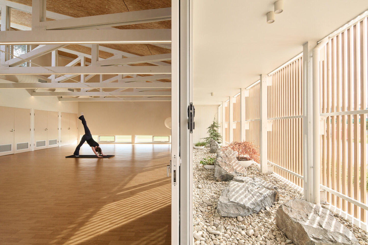 Gallery of The Centre for Combined Health / Sarah Lake Architects - 6