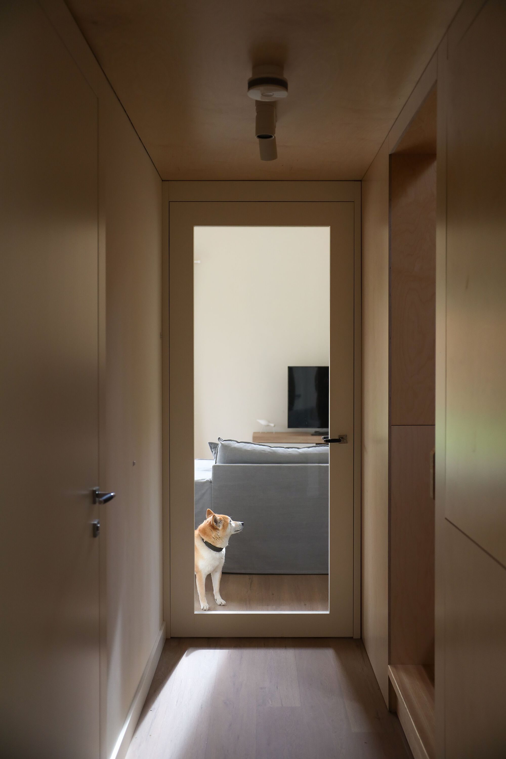 Gallery of VB56 House / VANBOOM - 30