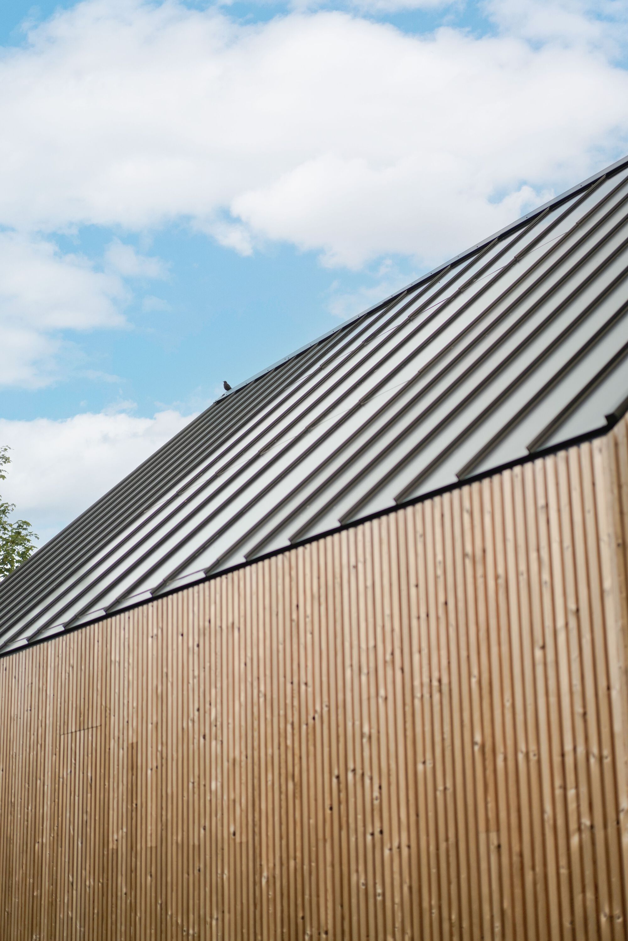 Gallery of VB56 House / VANBOOM - 50