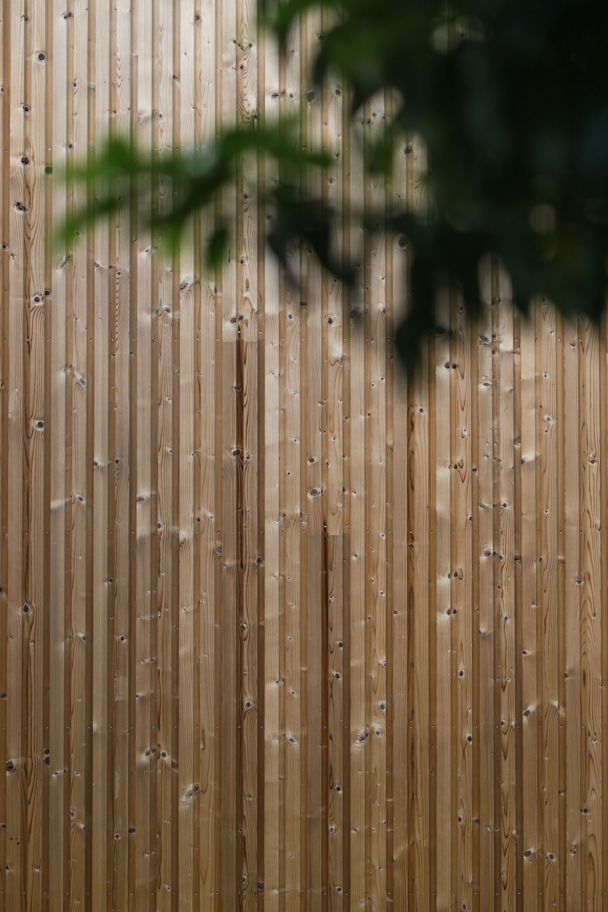 Gallery of VB56 House / VANBOOM - 11