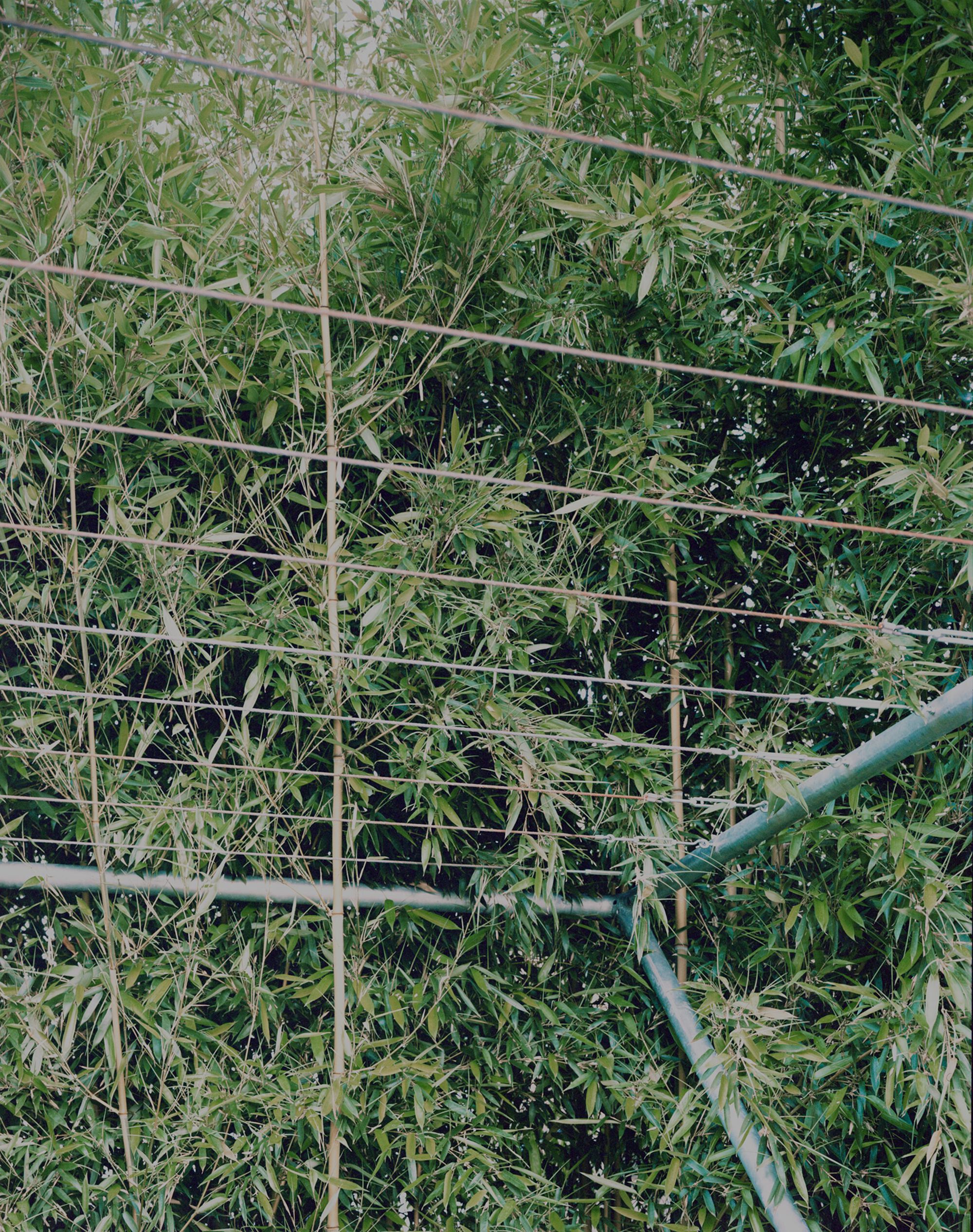 Gallery of Electrical Cabin Recovery / studio wok - 23