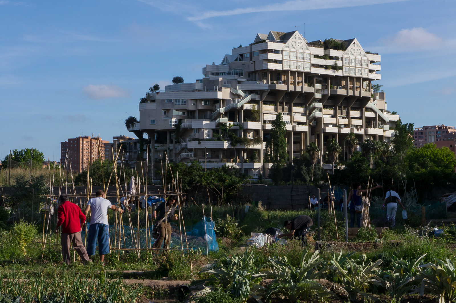Gallery of Valencia Architecture City Guide: Unveiling 24 Architectural ...