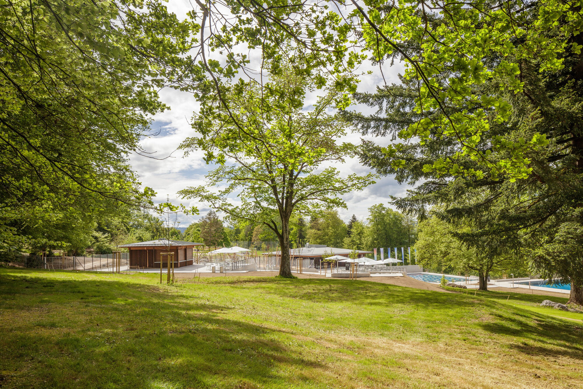 Gallery of Forest Pools Zimmeregg / Brechbuehler Walser Architekten - 6