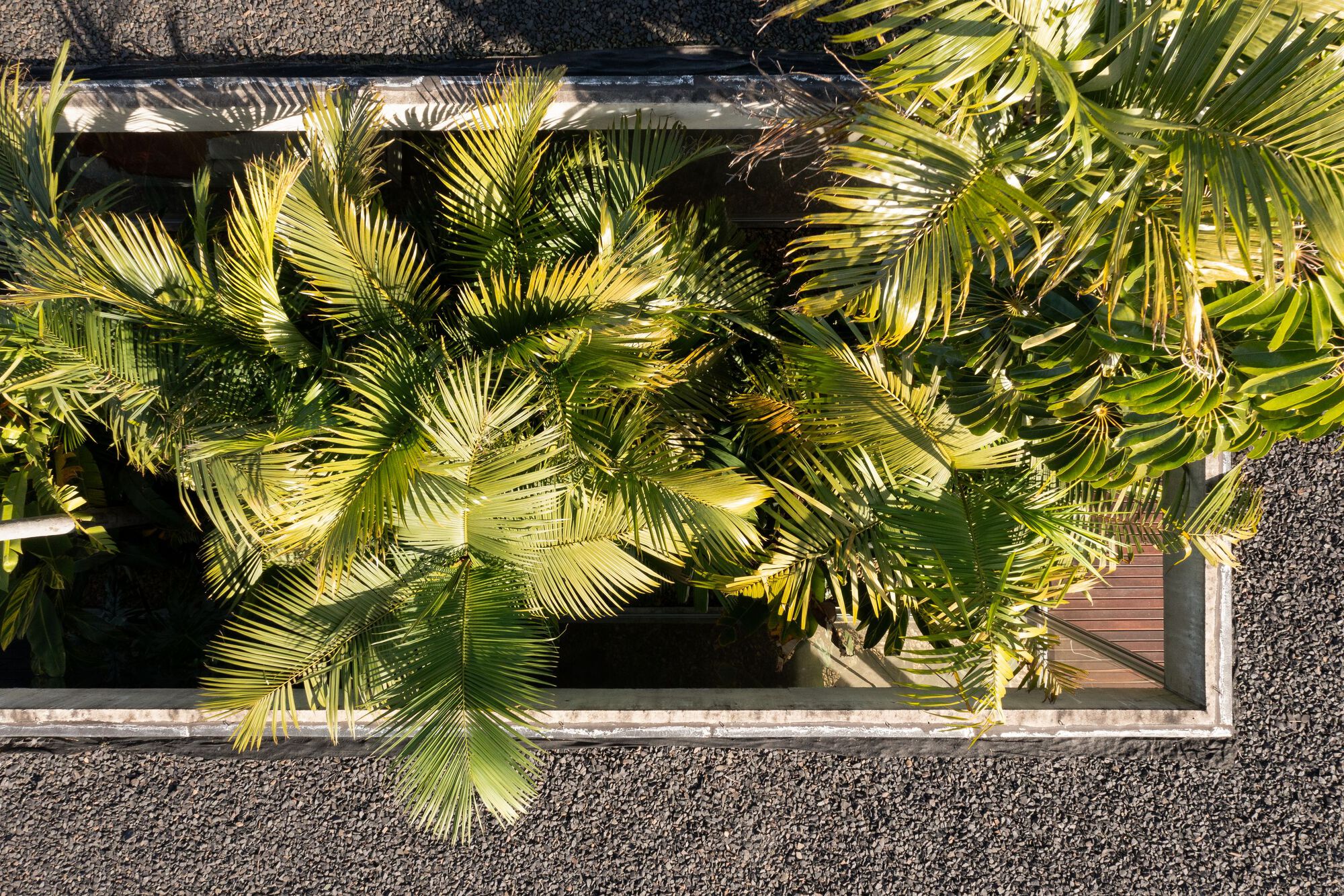 Galeria de Casa MS / Michel Macedo Arquitetos - 15