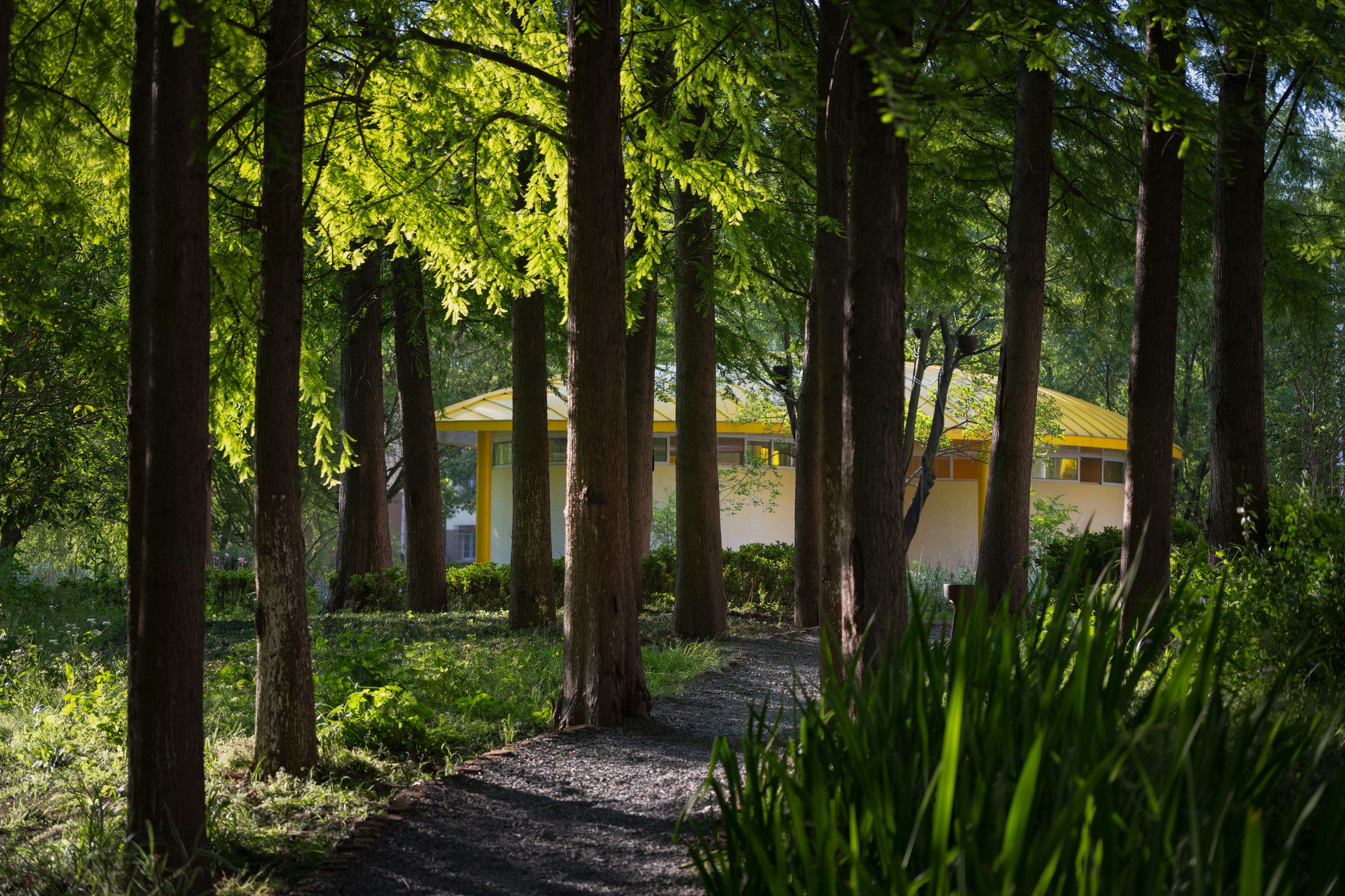 Gallery of The Orchestra Park / SoBA - 13