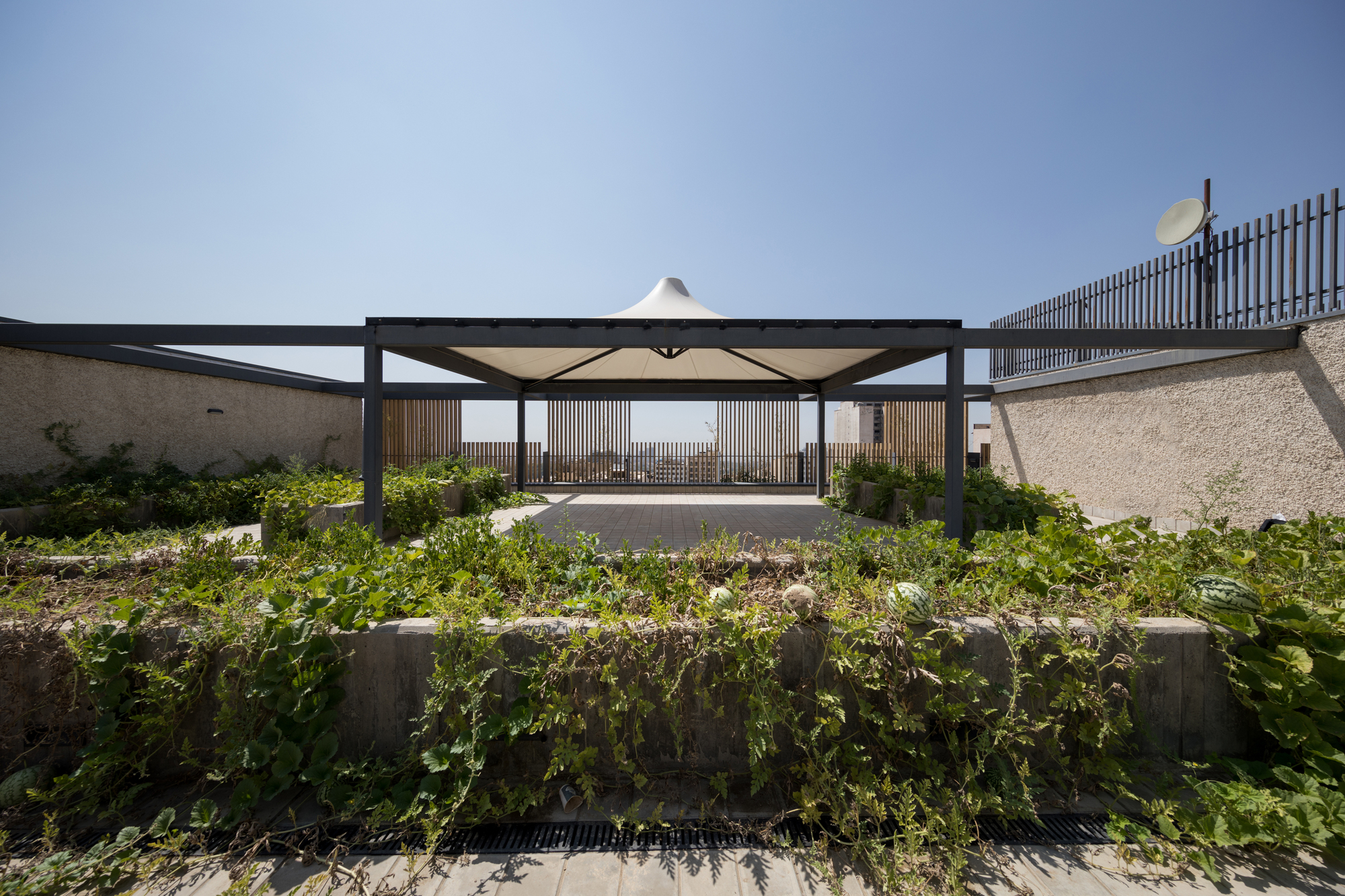 Galeria de Edifício Comercial Sarv / Tamouz Architecture & Construction ...