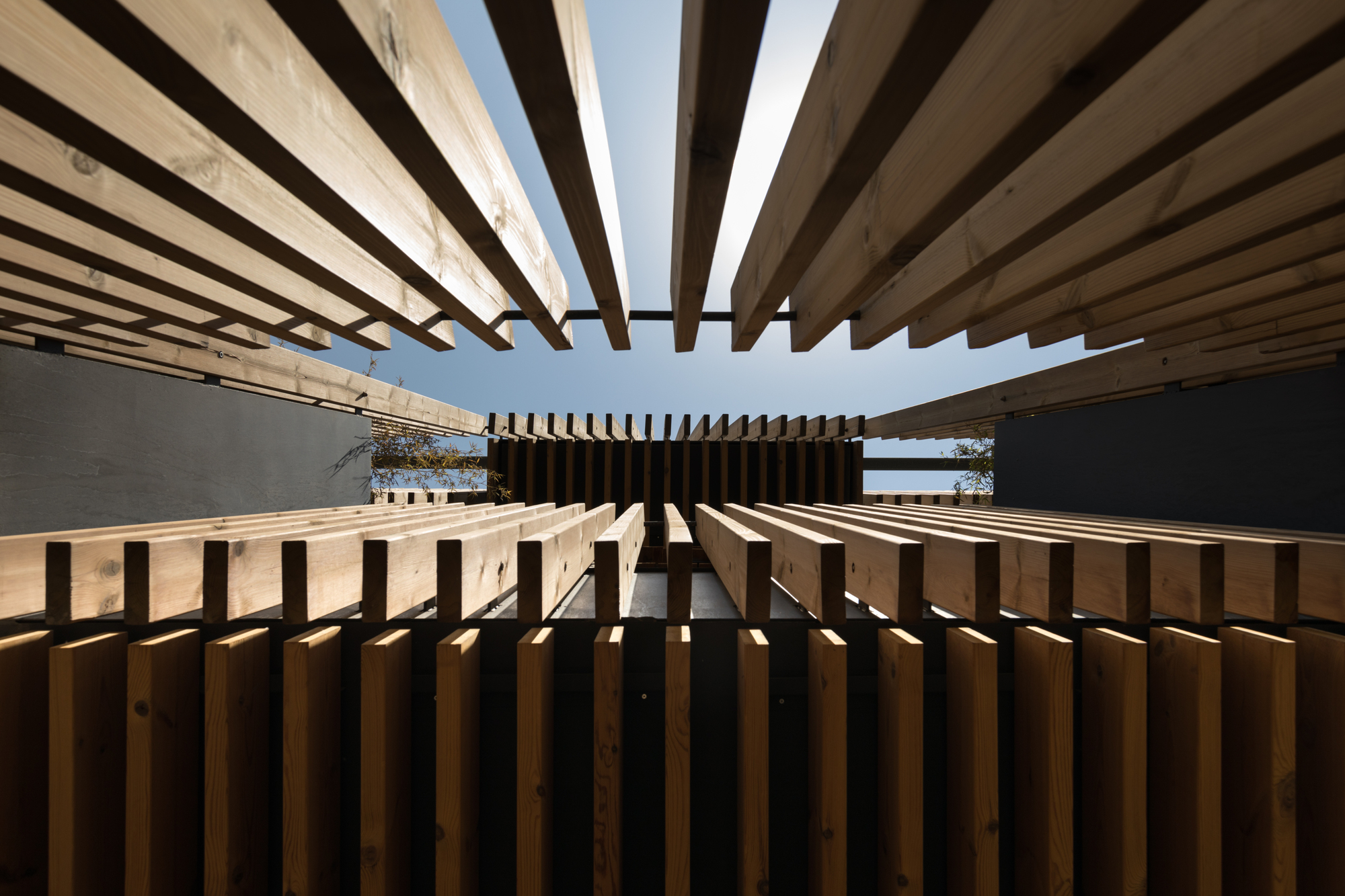 Gallery of Sarv Office Building / Tamouz Architecture & Construction ...
