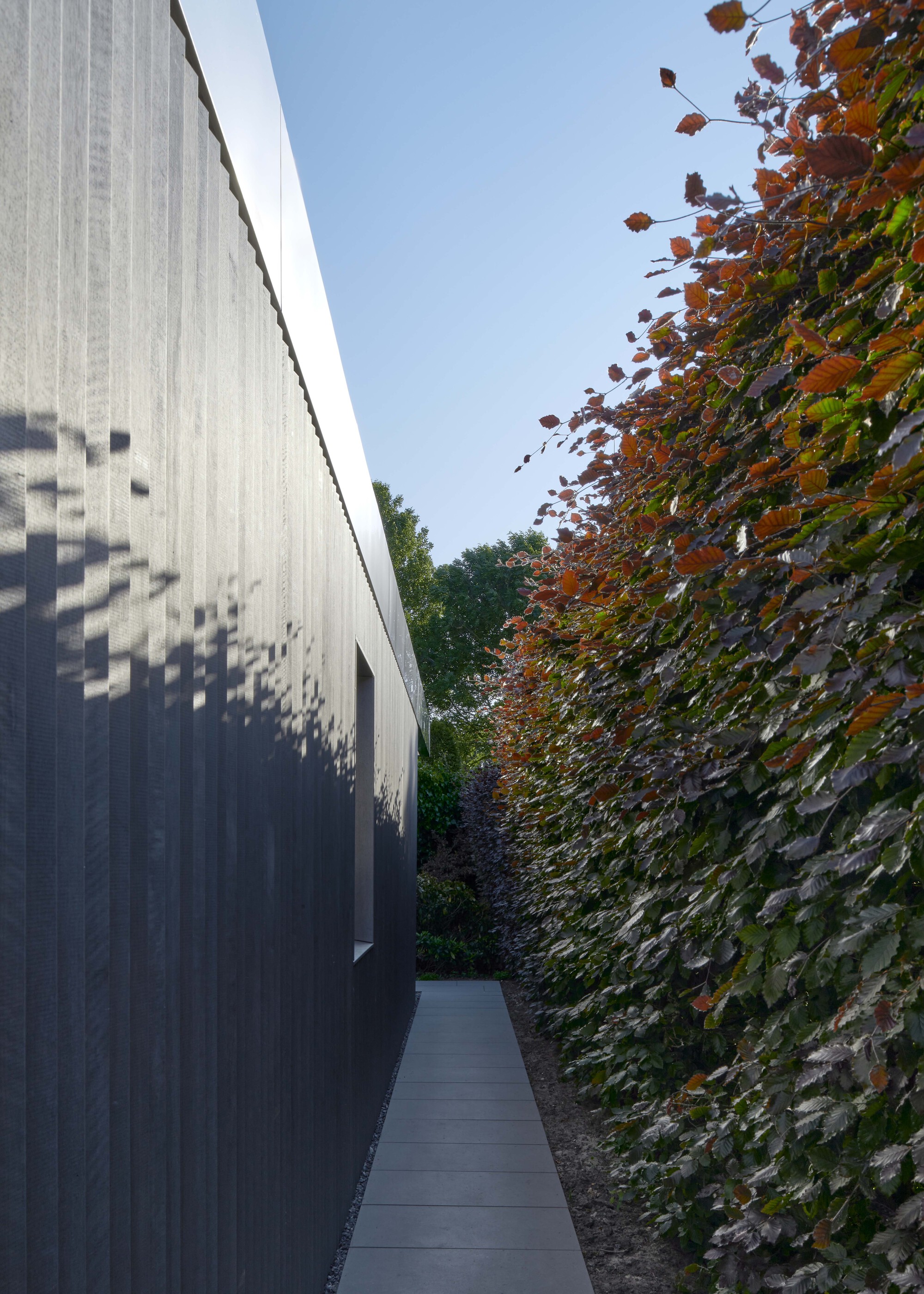 Gallery of AR House / Atlas - 22