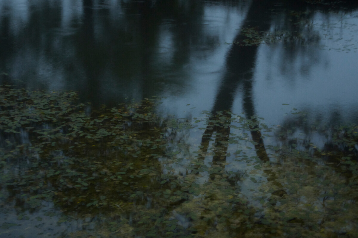 Gallery of A Continuous Dialogue between Wood and Design through John ...