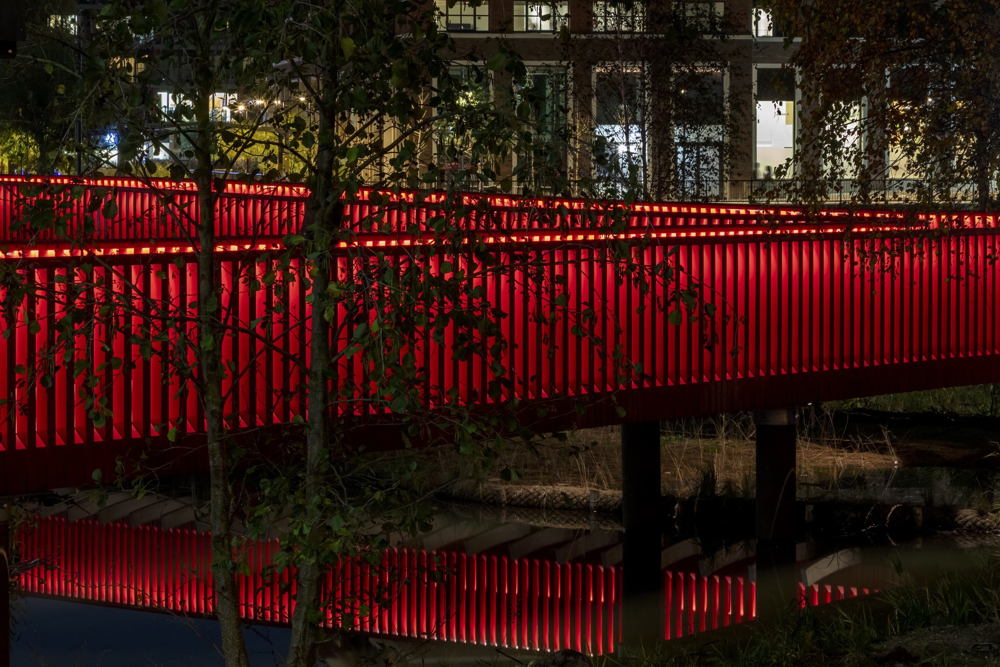 Gallery of Canada Water Pedestrian Boardwalk / Asif Khan Studio - 12