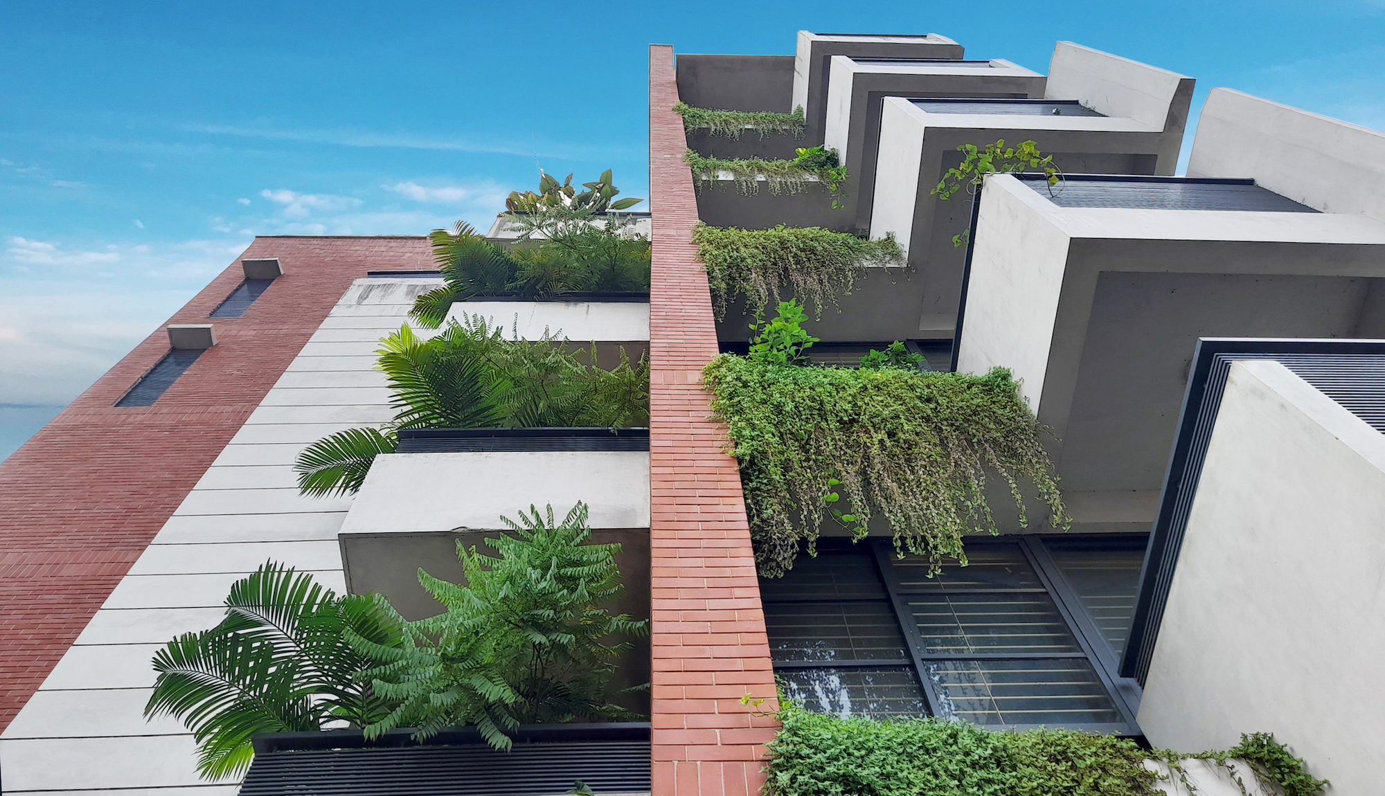 Gallery of Green View Residence / 3 Points Consultant - 24