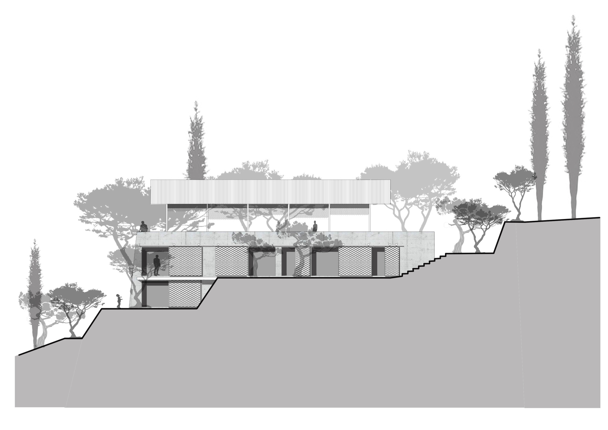 Gallery of House in an Olive Grove / Invisible Studio - 36