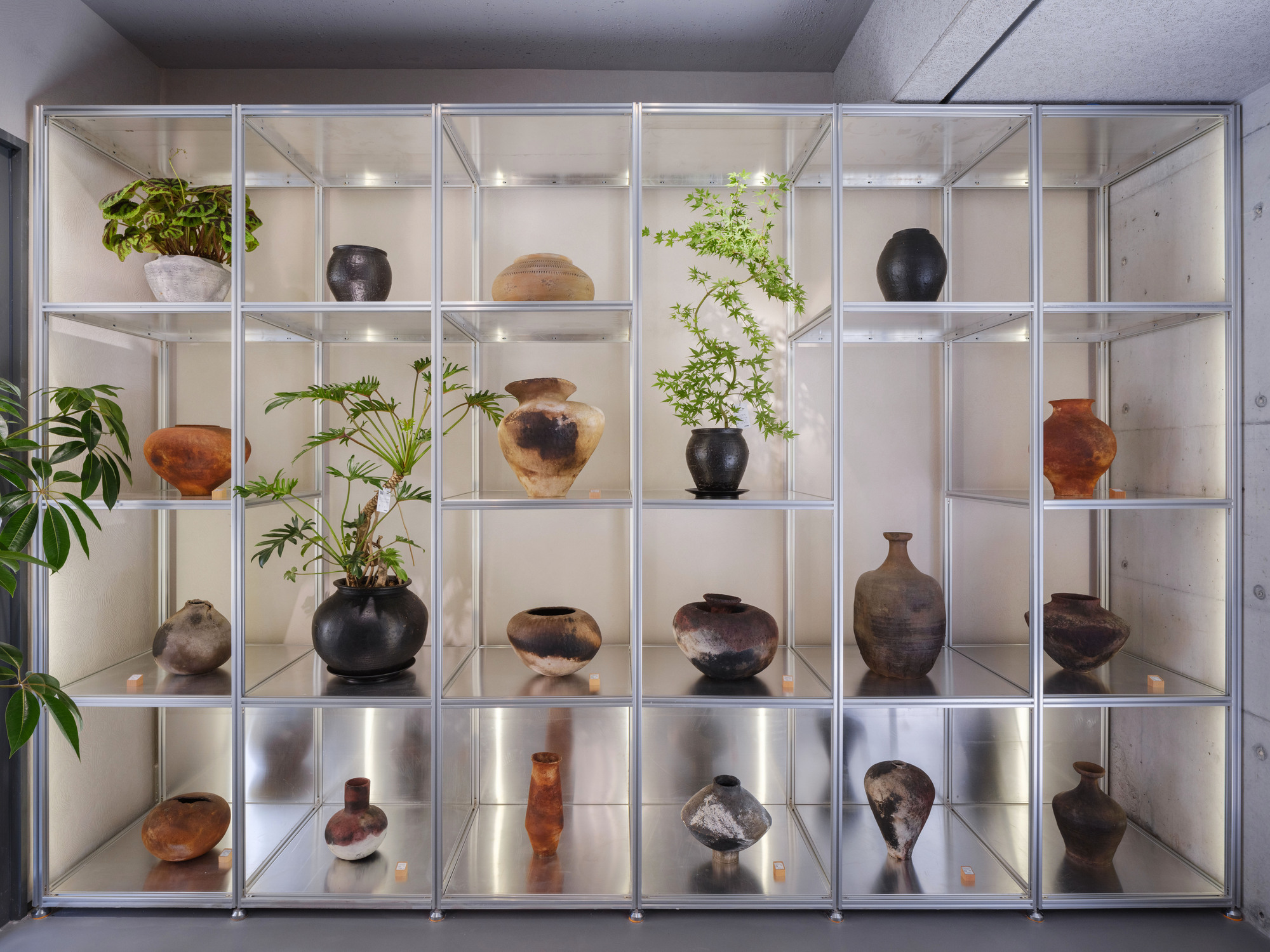 Gallery of WILDGREEN BOTANIC Garden / Studio YUDA - 21