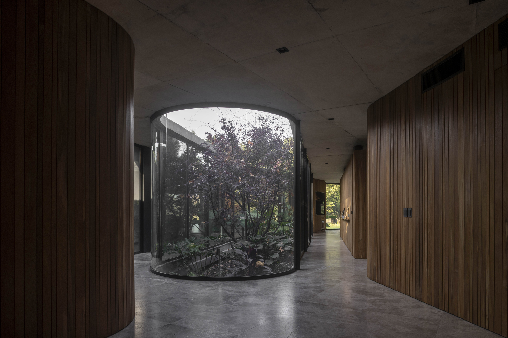 Gallery of X House / Estudio Geya - 18