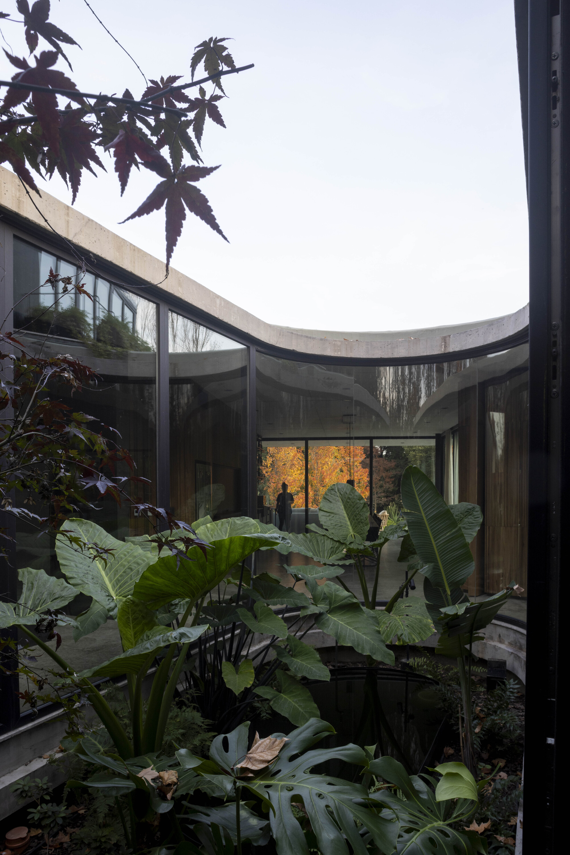 Gallery of X House / Estudio Geya - 9