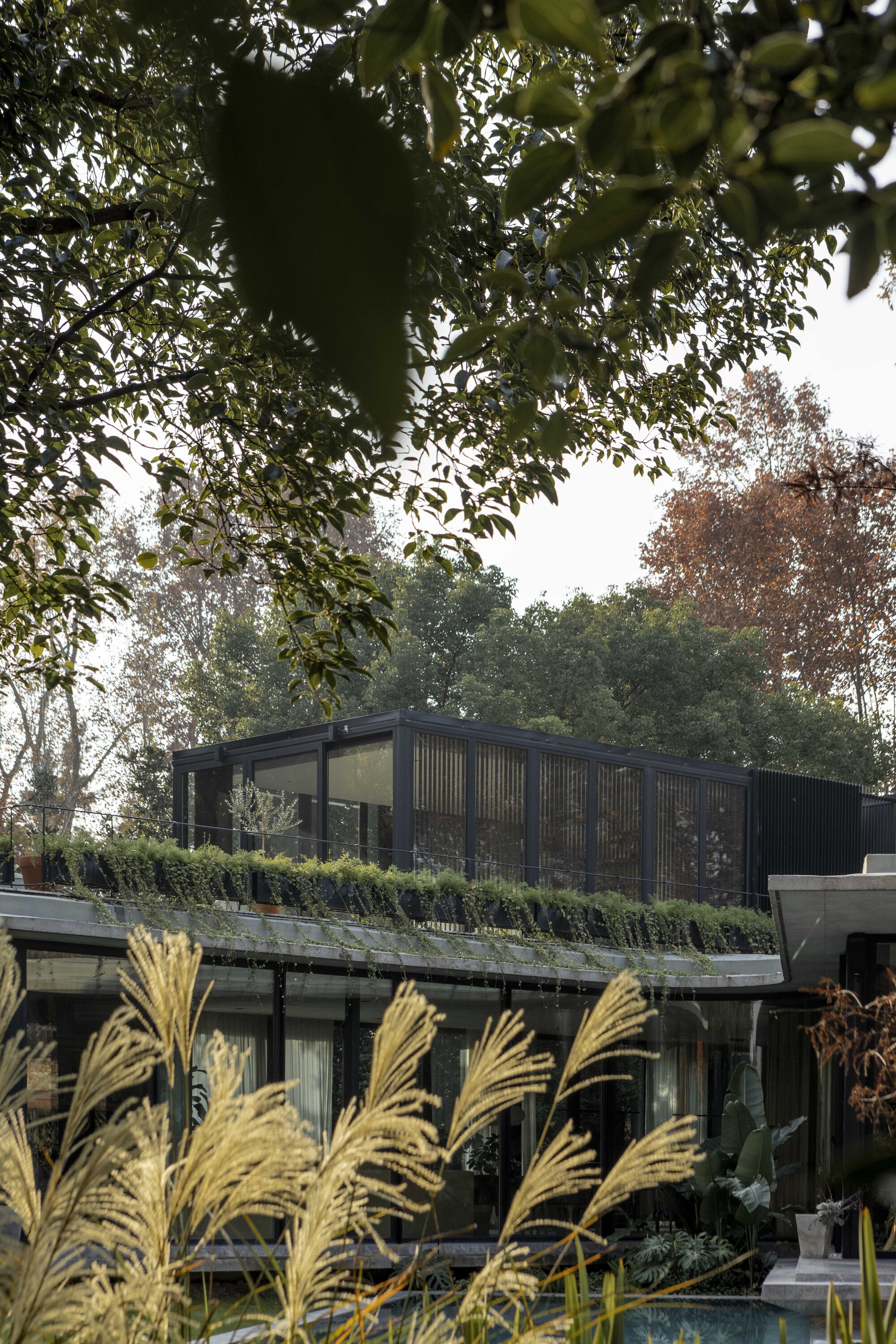 Gallery of X House / Estudio Geya - 11