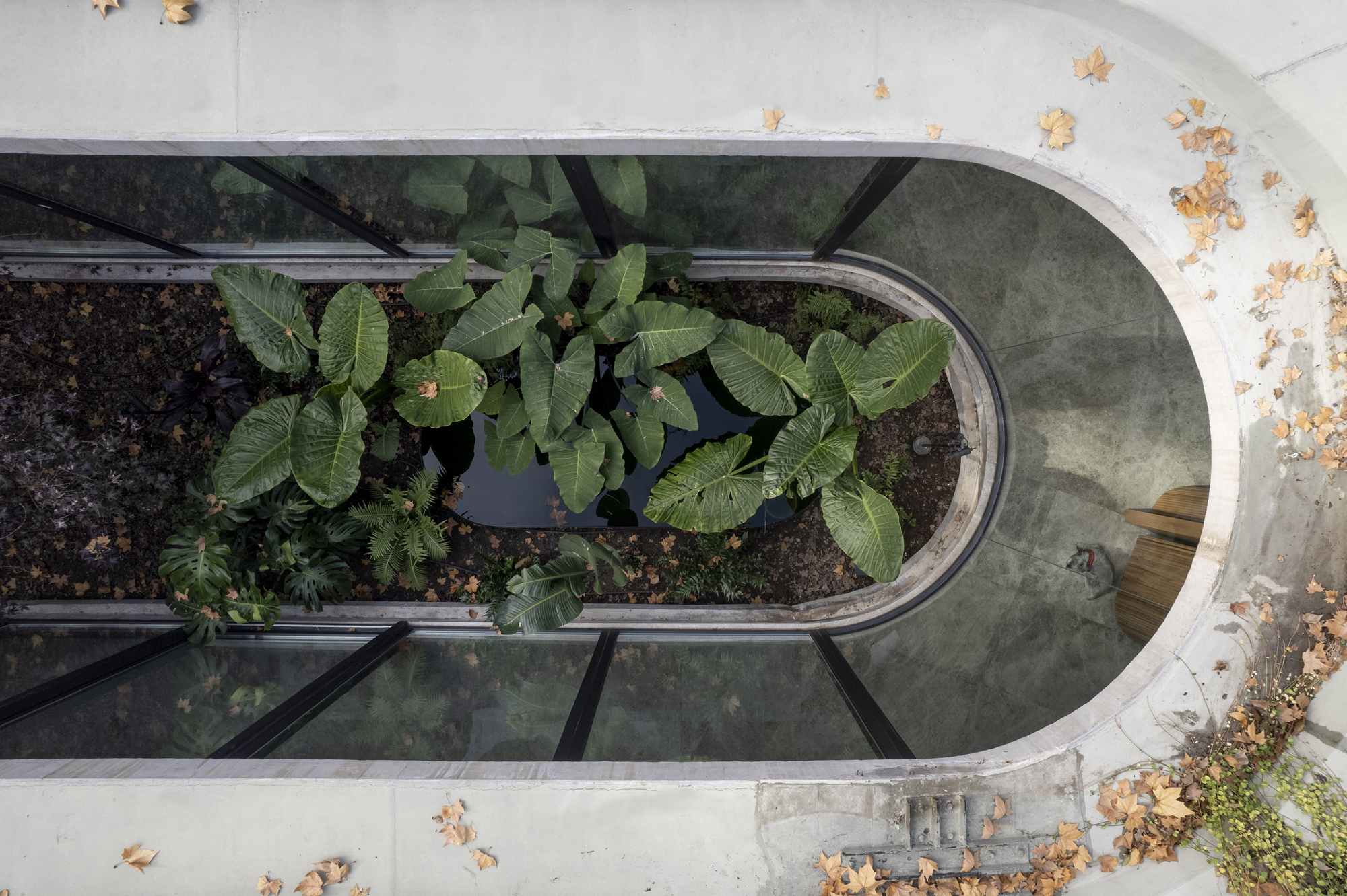 Gallery of X House / Estudio Geya - 29