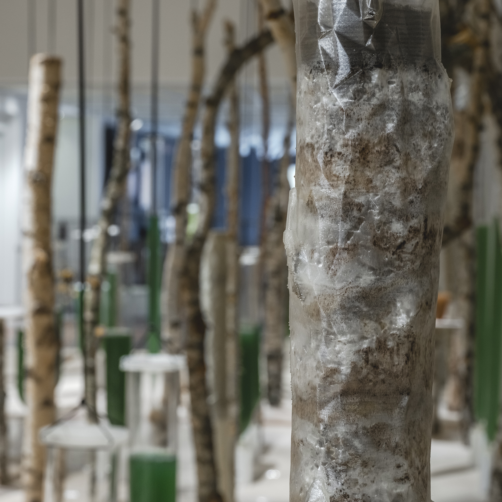 Gallery of A Bio-Digital Exploration: ecoLogicStudio Opens Deep Forest ...