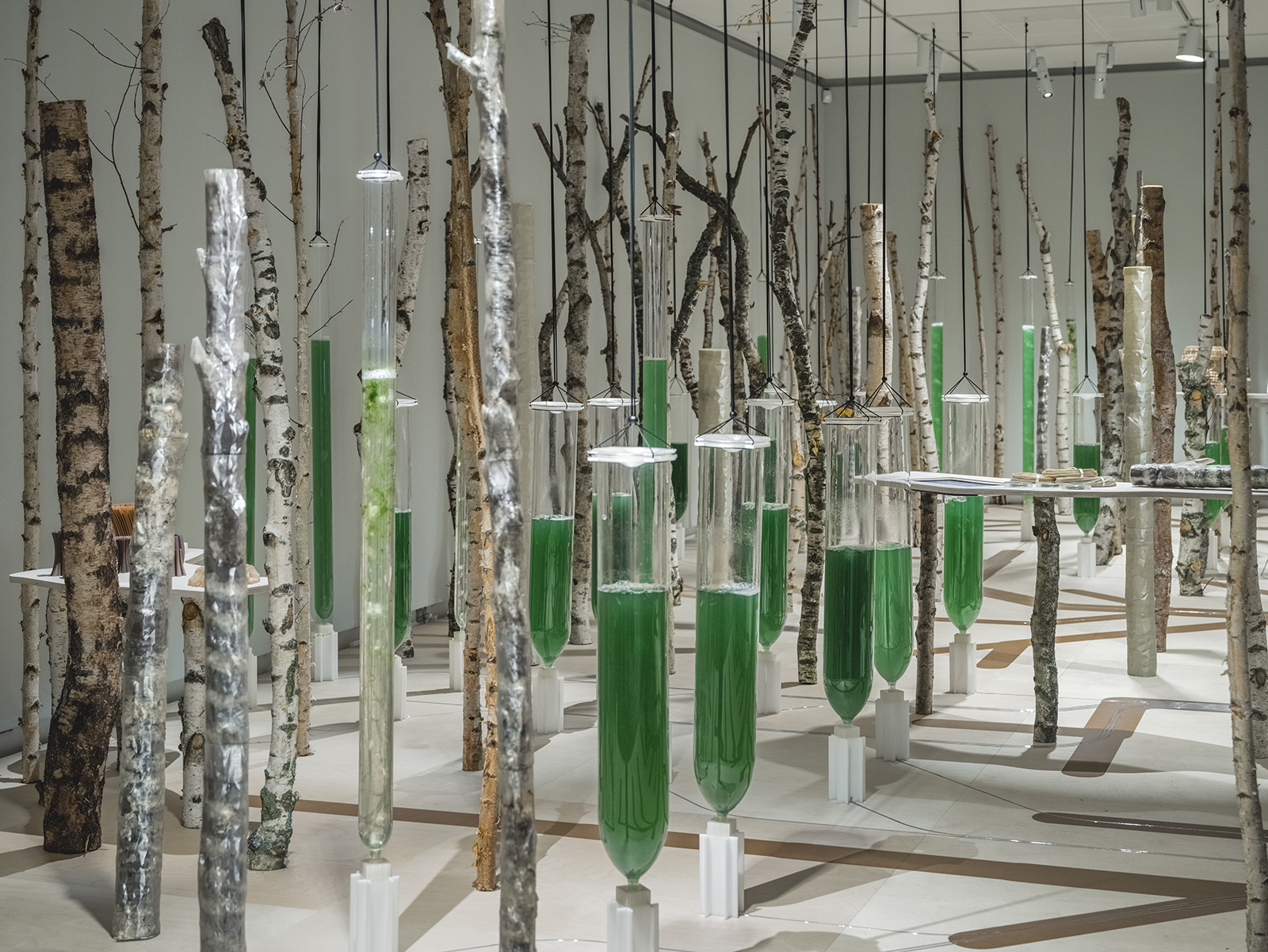 Gallery of A Bio-Digital Exploration: ecoLogicStudio Opens Deep Forest ...